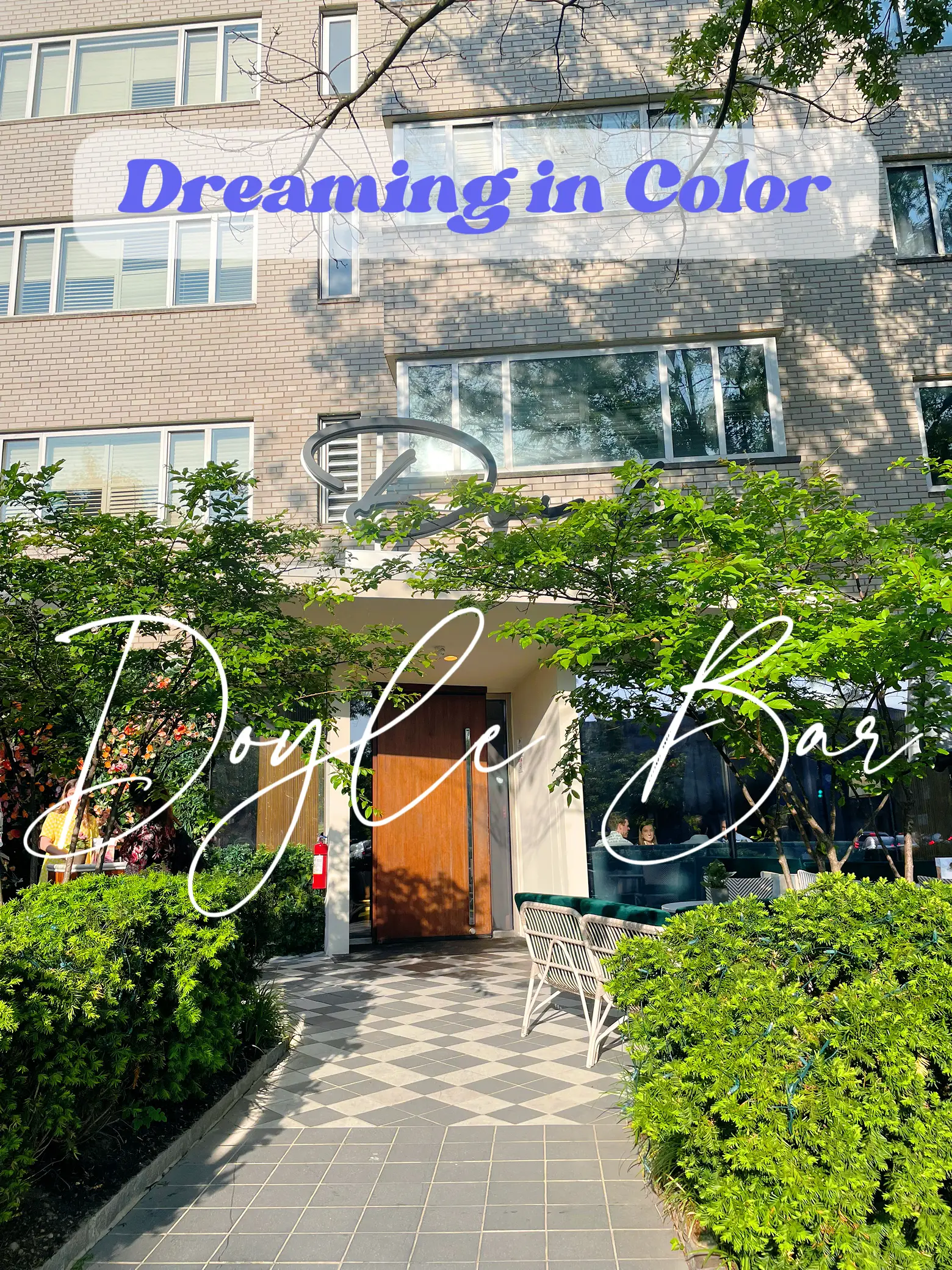 DREAMING IN COLOR AT DOYLE BAR D.C. | Gallery posted by Al | Tastes DC ...