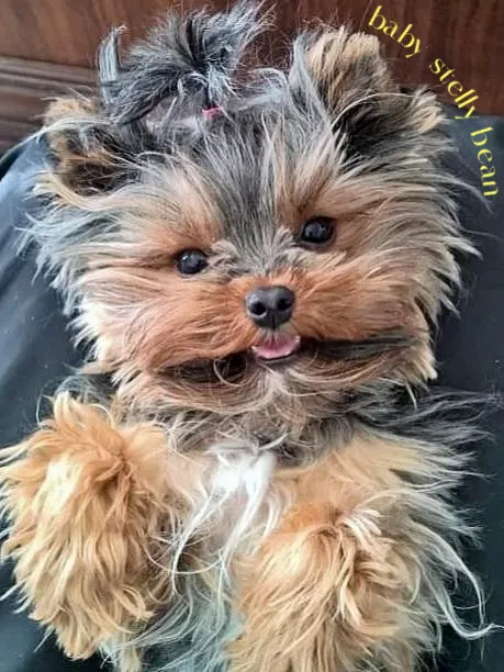 throwback photo 📸 | Gallery posted by mandy love 💛 | Lemon8