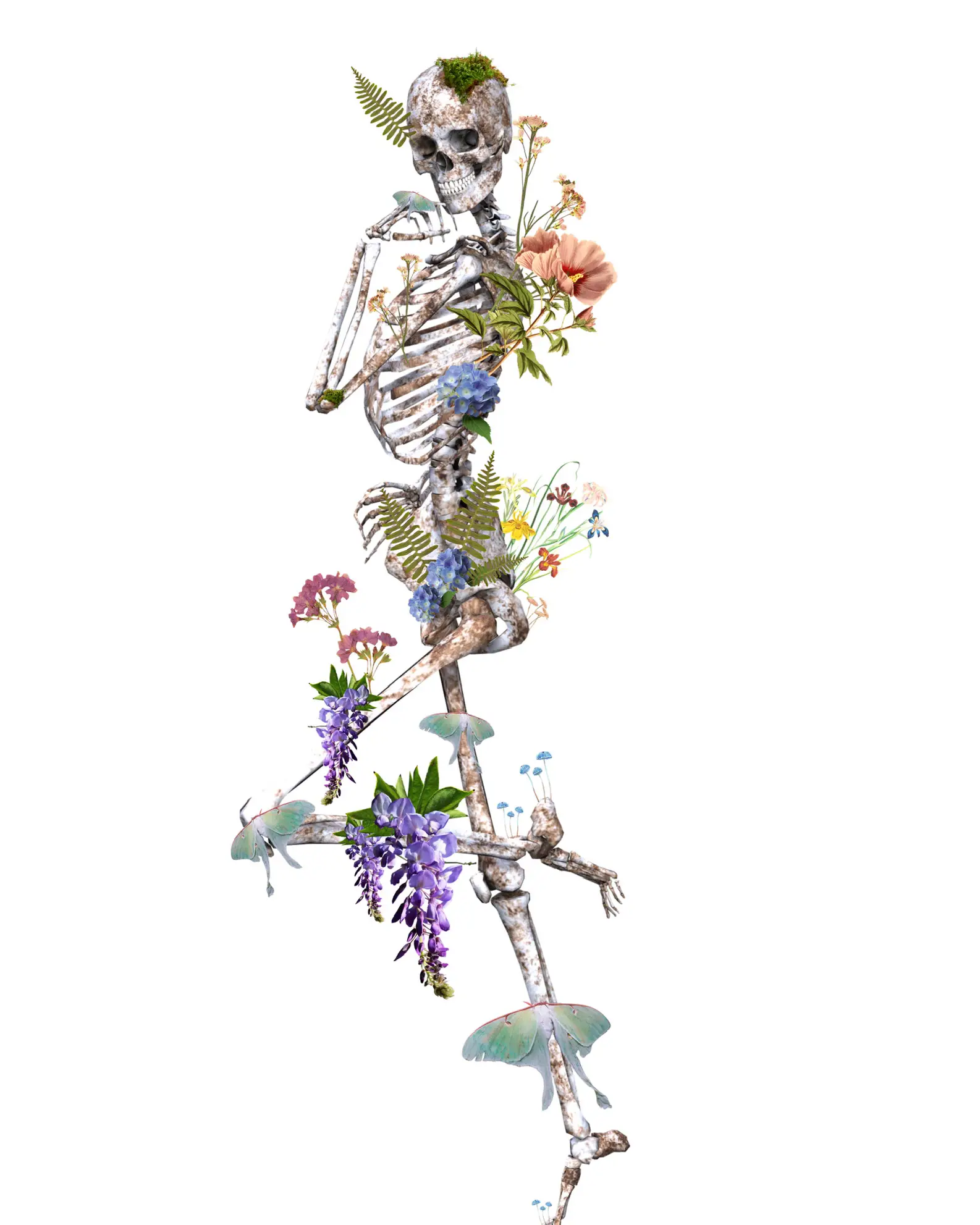 bones & botany🌸 | Gallery posted by nightfauna | Lemon8