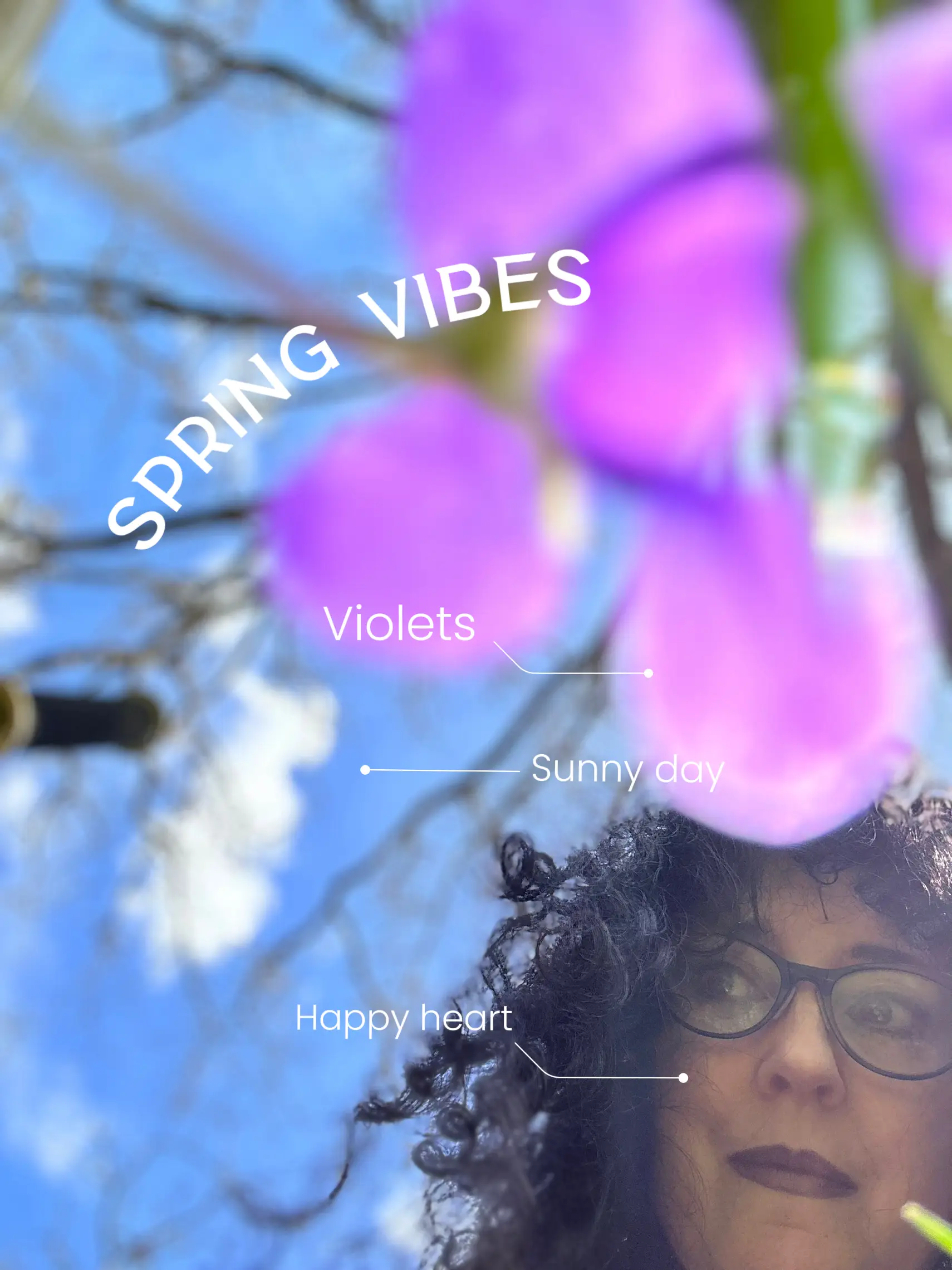 Spring Violets are Making Me Happy! | Gallery posted by Mickie Mueller ...