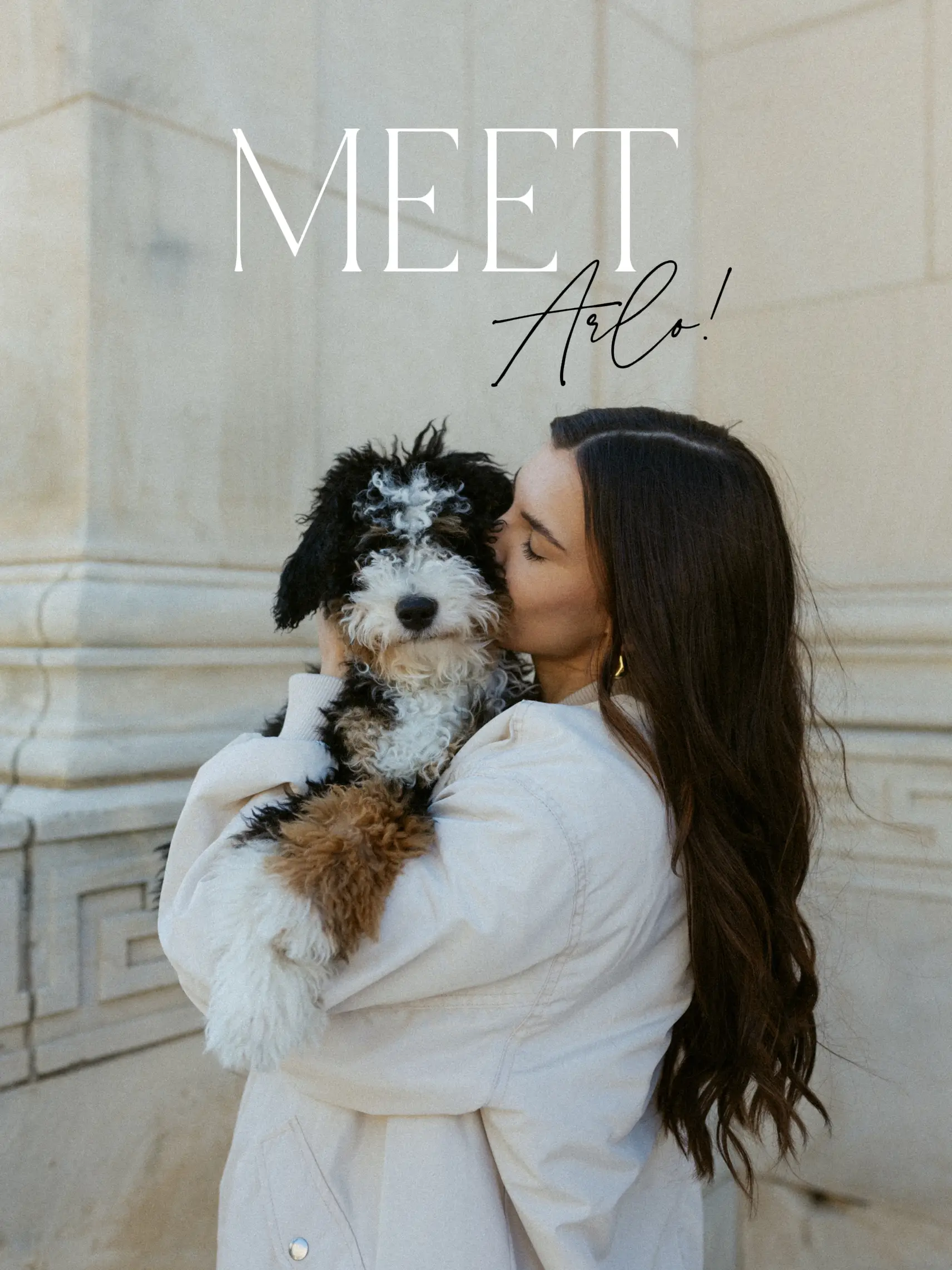 Meet Arlo🤎 | Gallery posted by Neutrallyashlan | Lemon8