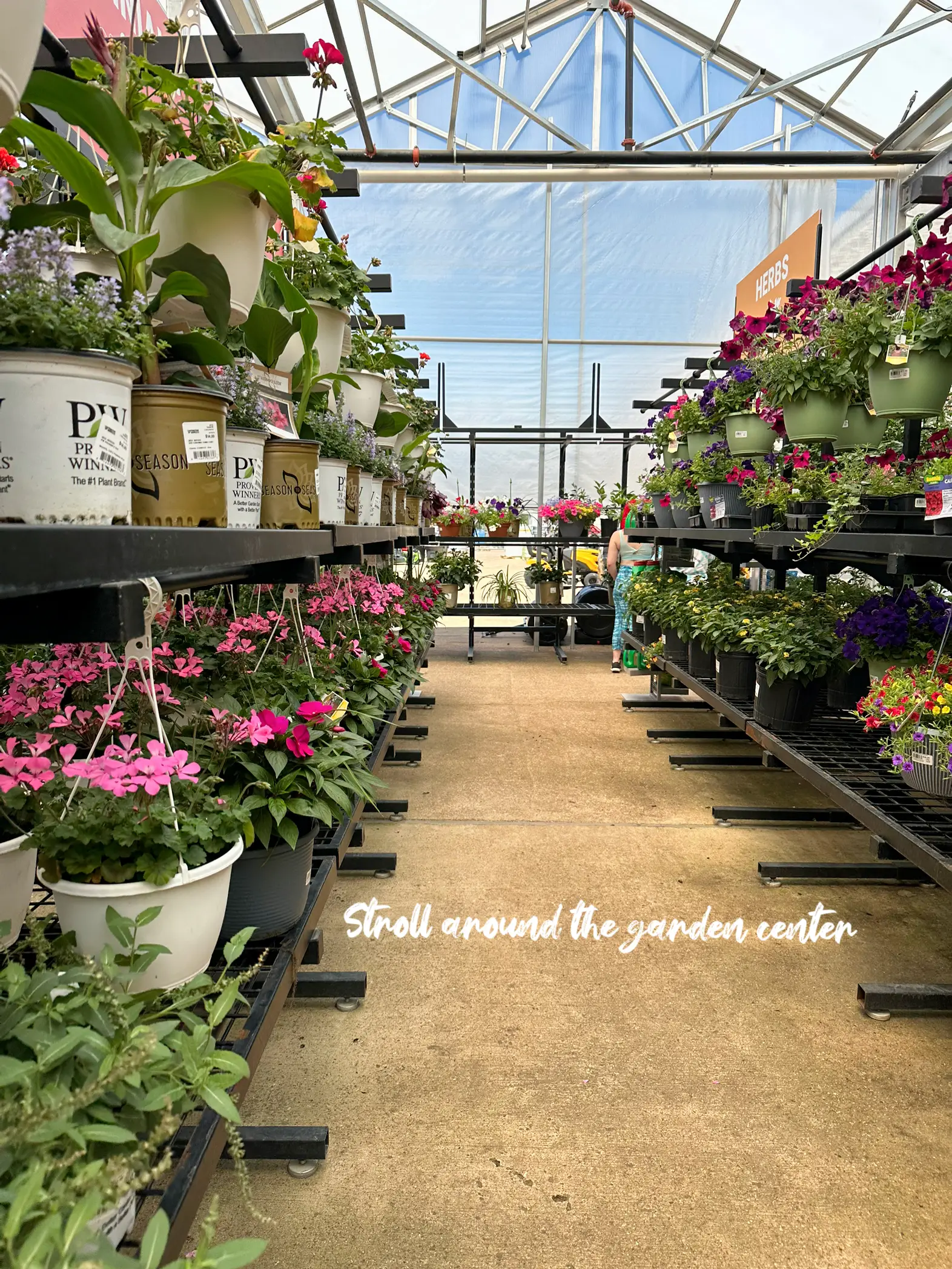 Spring Garden 2023 | Gallery posted by Scout Baker | Lemon8