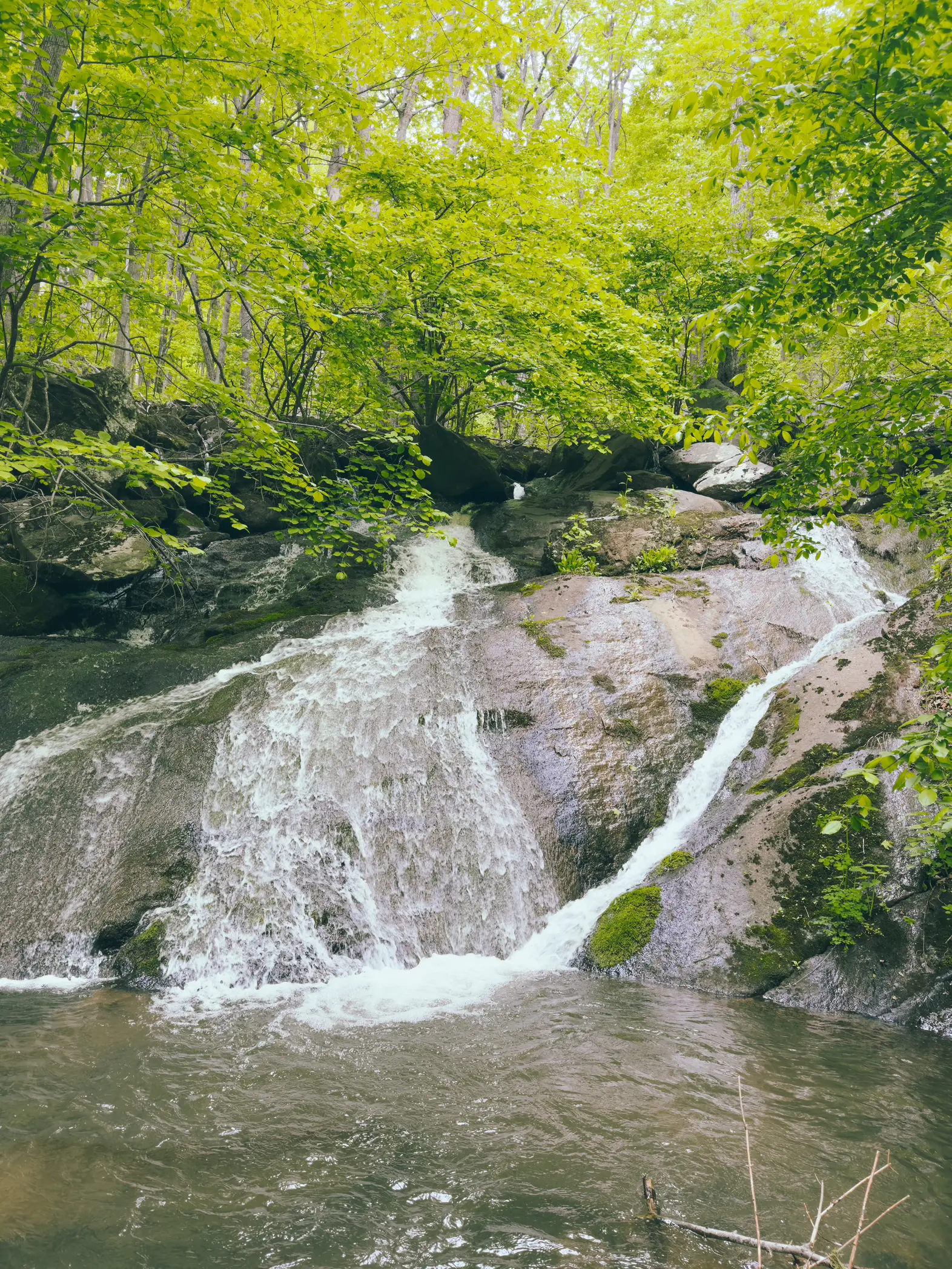 Sunday waterfall hike | Gallery posted by Juliaagostino | Lemon8