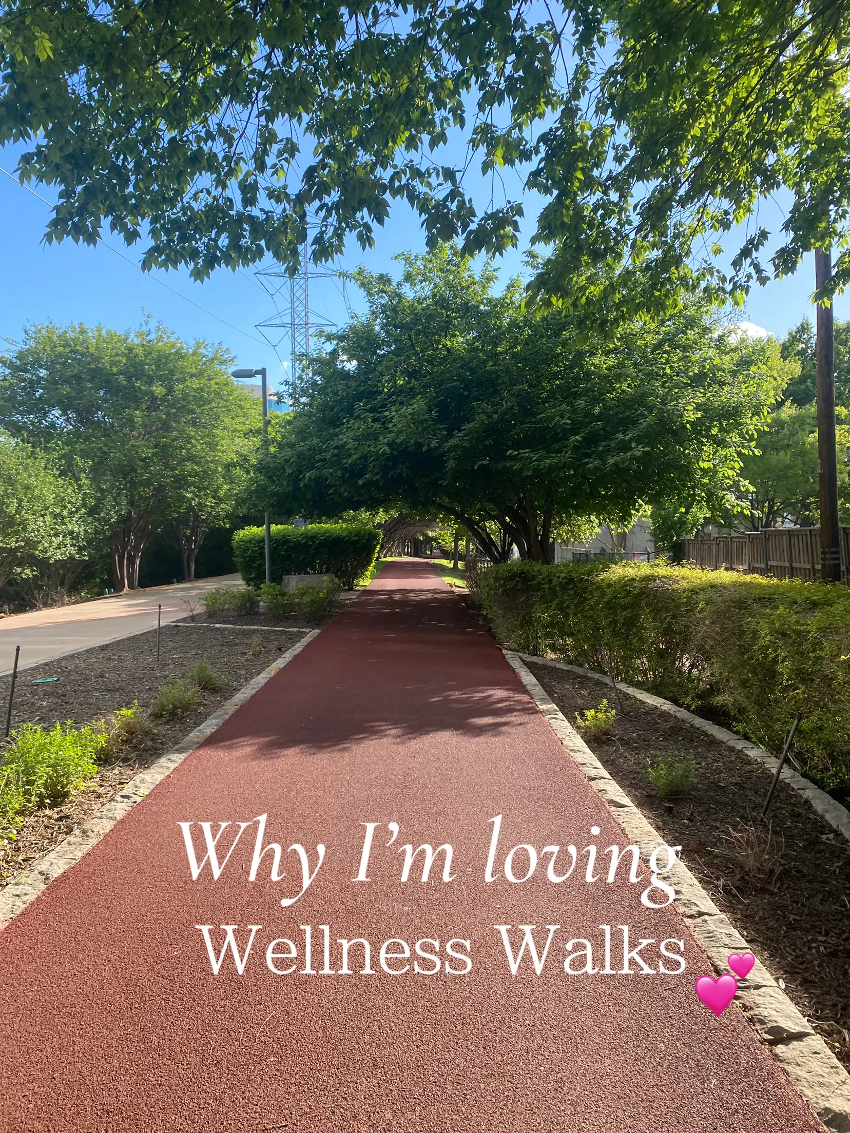 Sunny walks and coffee :) | Gallery posted by Sierra Brewer | Lemon8