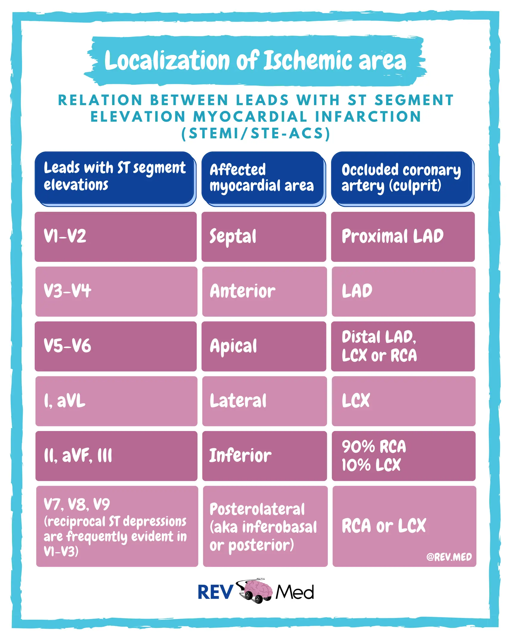 ECG Leads & Coronary Artery (Anatomy) | Gallery posted by REV MED | Lemon8