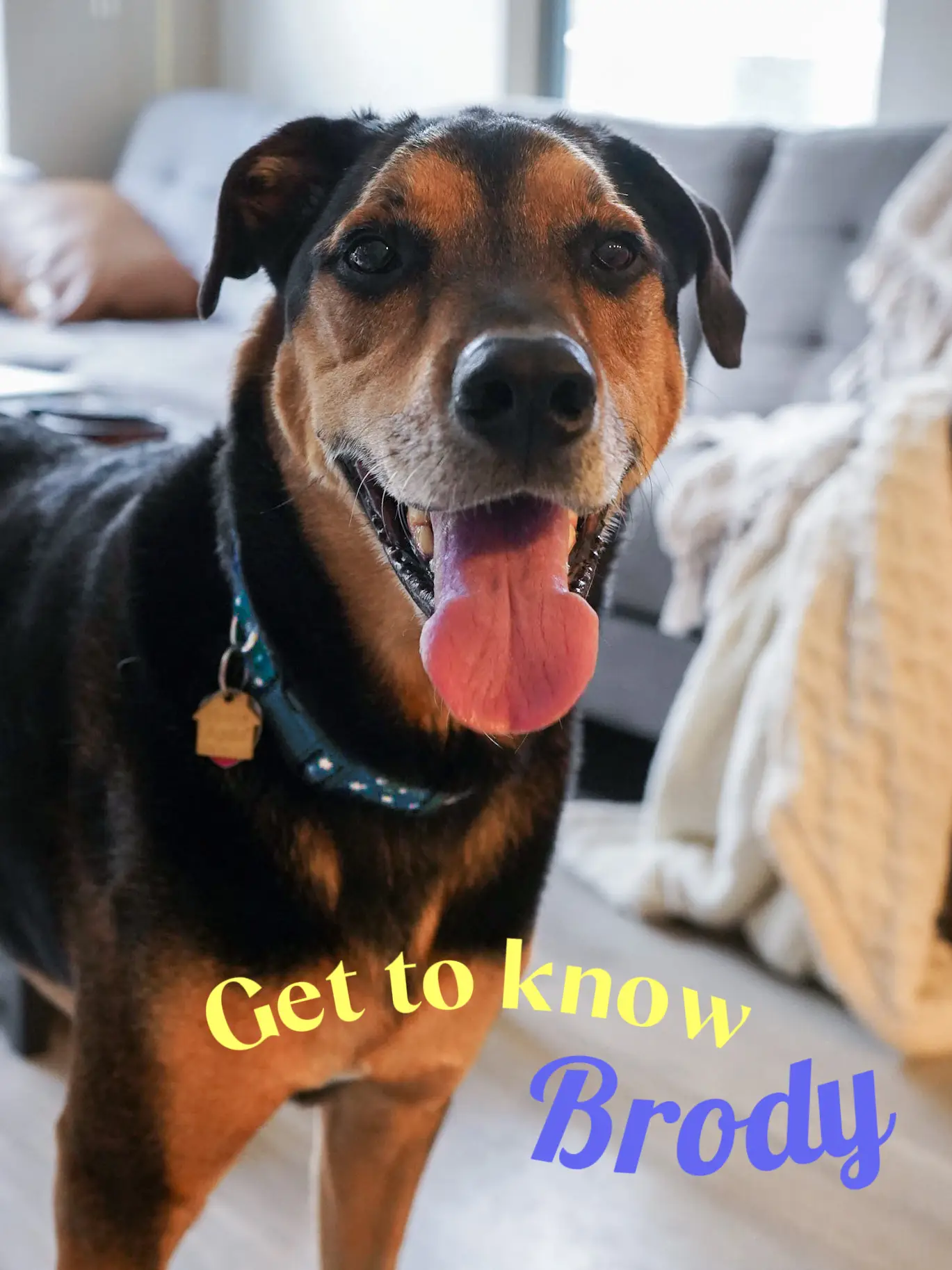 Get to know Brody! | Gallery posted by Mik • Bro • Lu | Lemon8