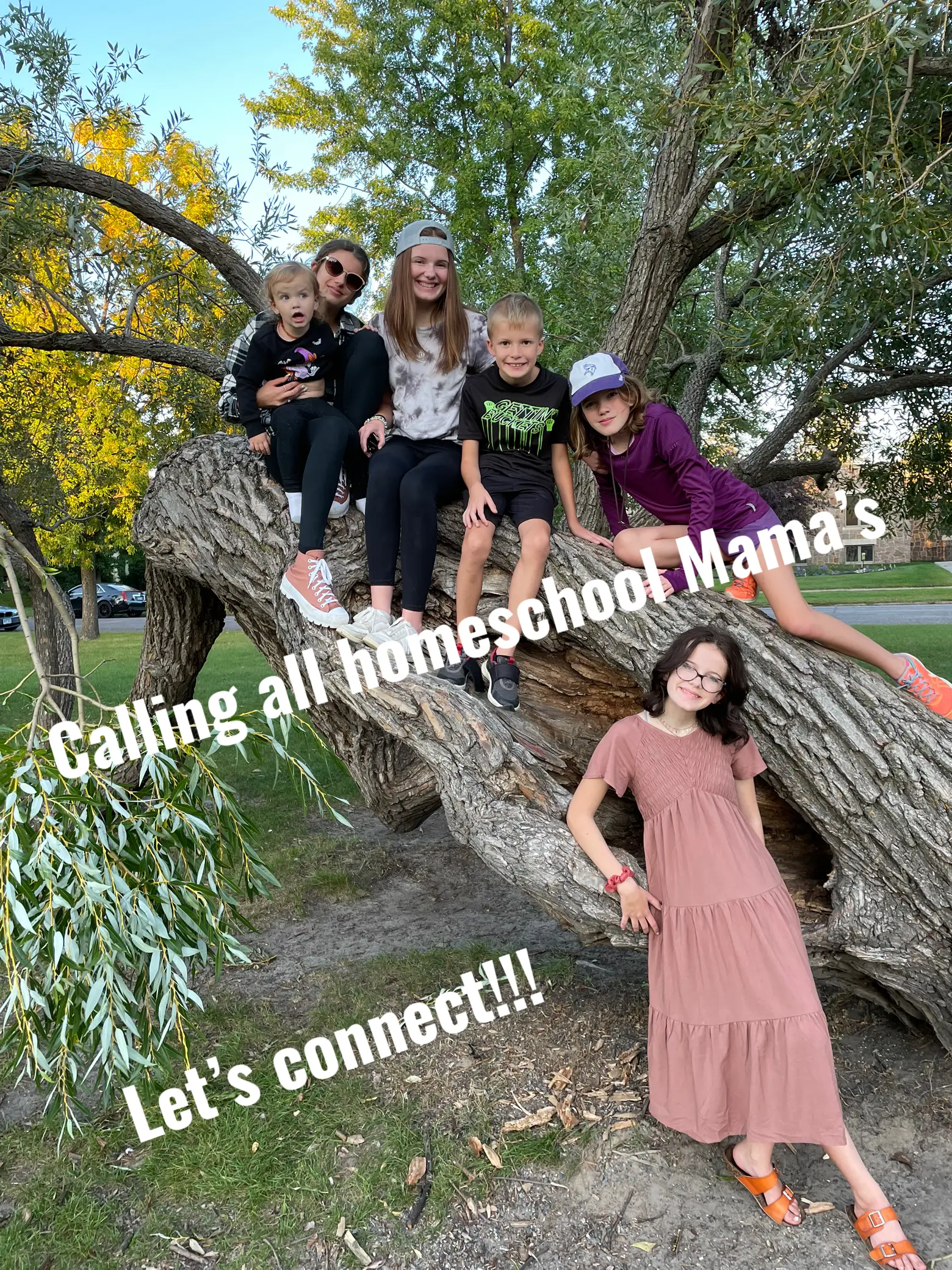 Calling all homeschool Mama’s | Gallery posted by ⭐️Kelly⭐️ | Lemon8