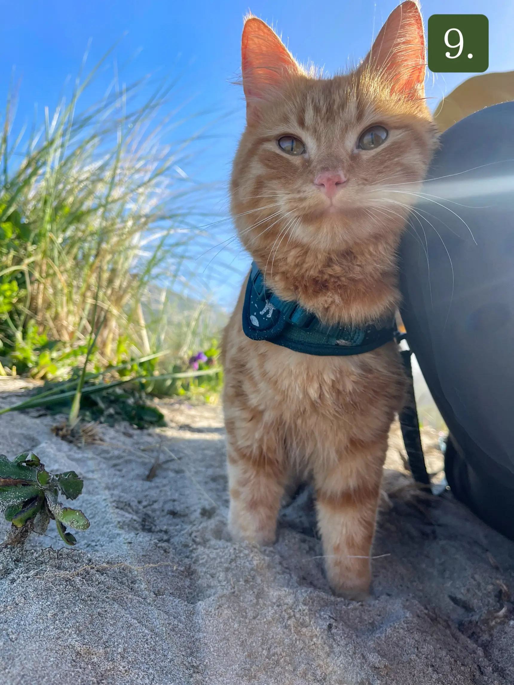 ready. set. pose. 📸 | แกลเลอรีที่โพสต์โดย Pumpkin | Lemon8