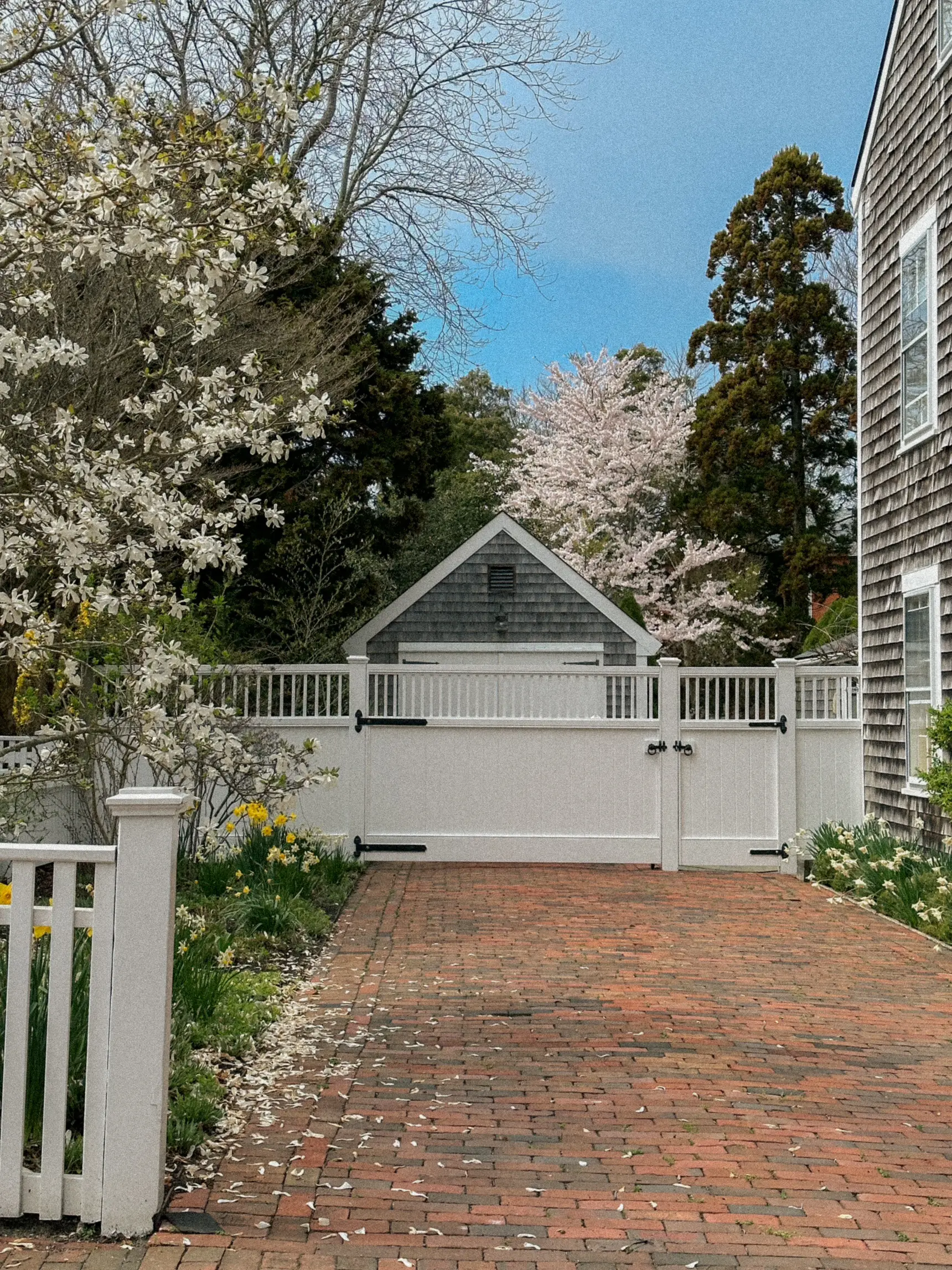 🌼 SPRING ON NANTUCKET 🌼 | Gallery posted by Georgie Morley | Lemon8