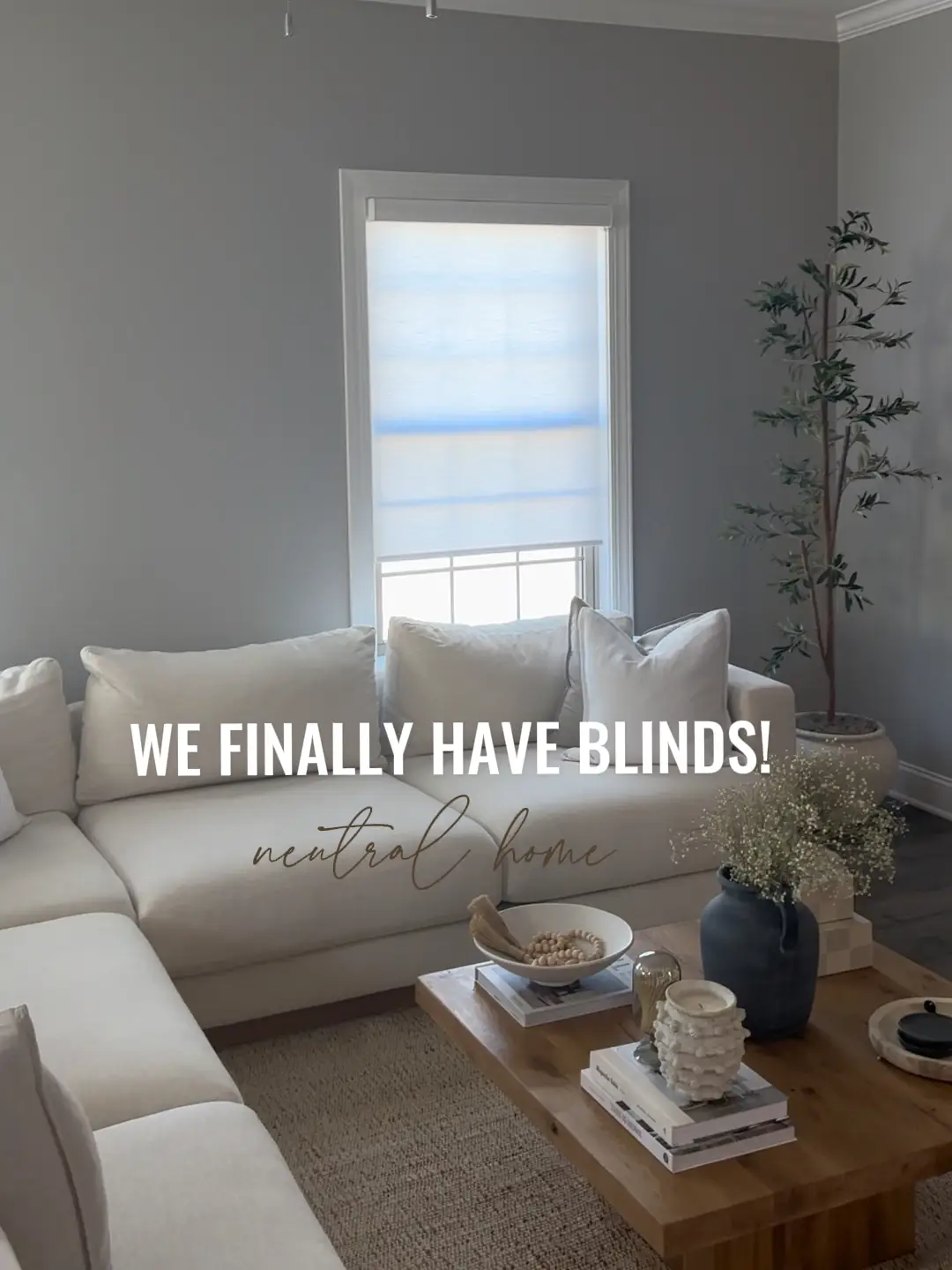 selectblinds - Lemon8 Search