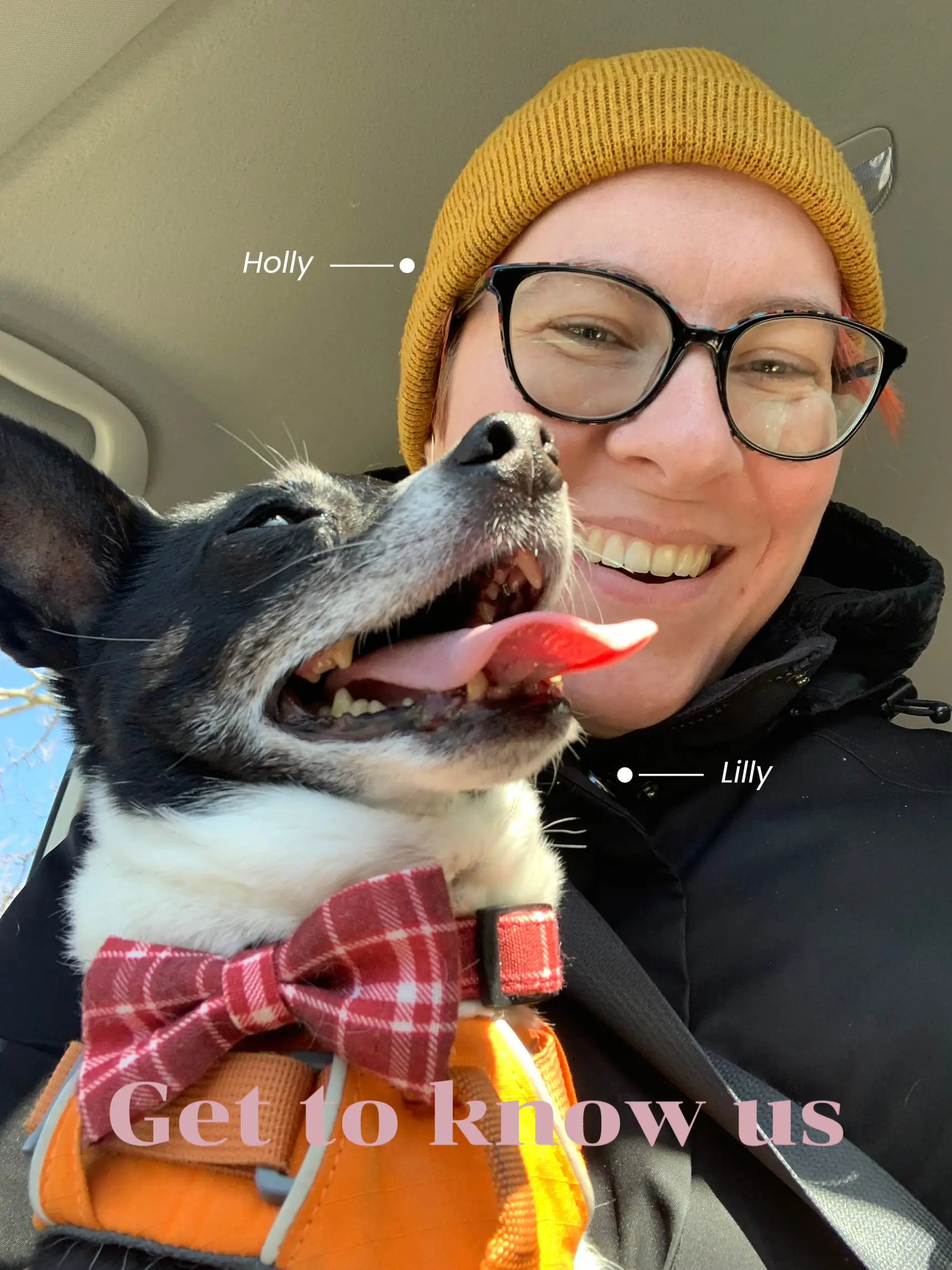 Hi :) I’m Holly and this is my dog Lilly. | Gallery posted by Holly 👽 💕 ...