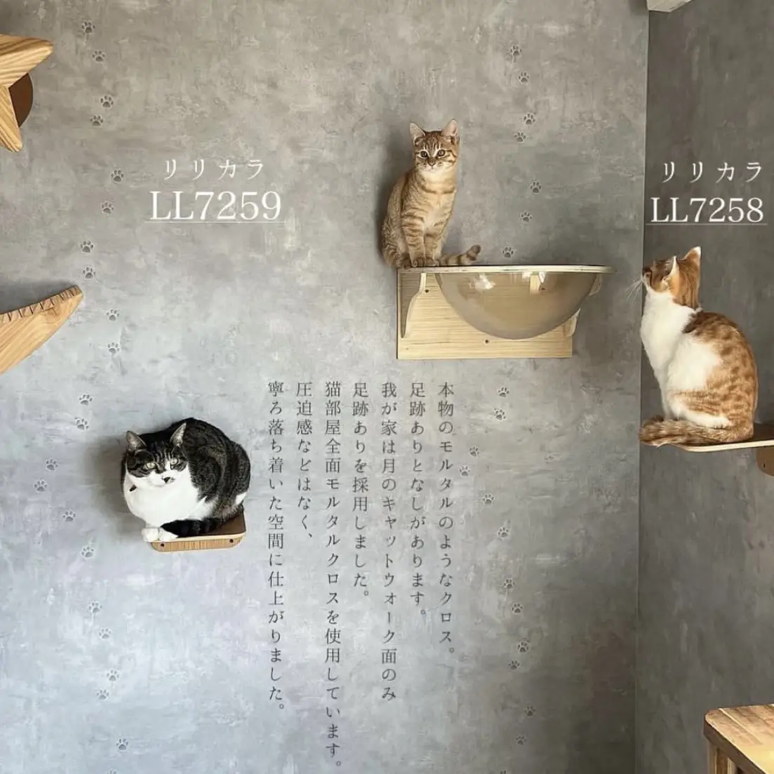 我が家のクロスまとめ | 𝗋𝖺𝗆𝗎が投稿したフォトブック | Lemon8