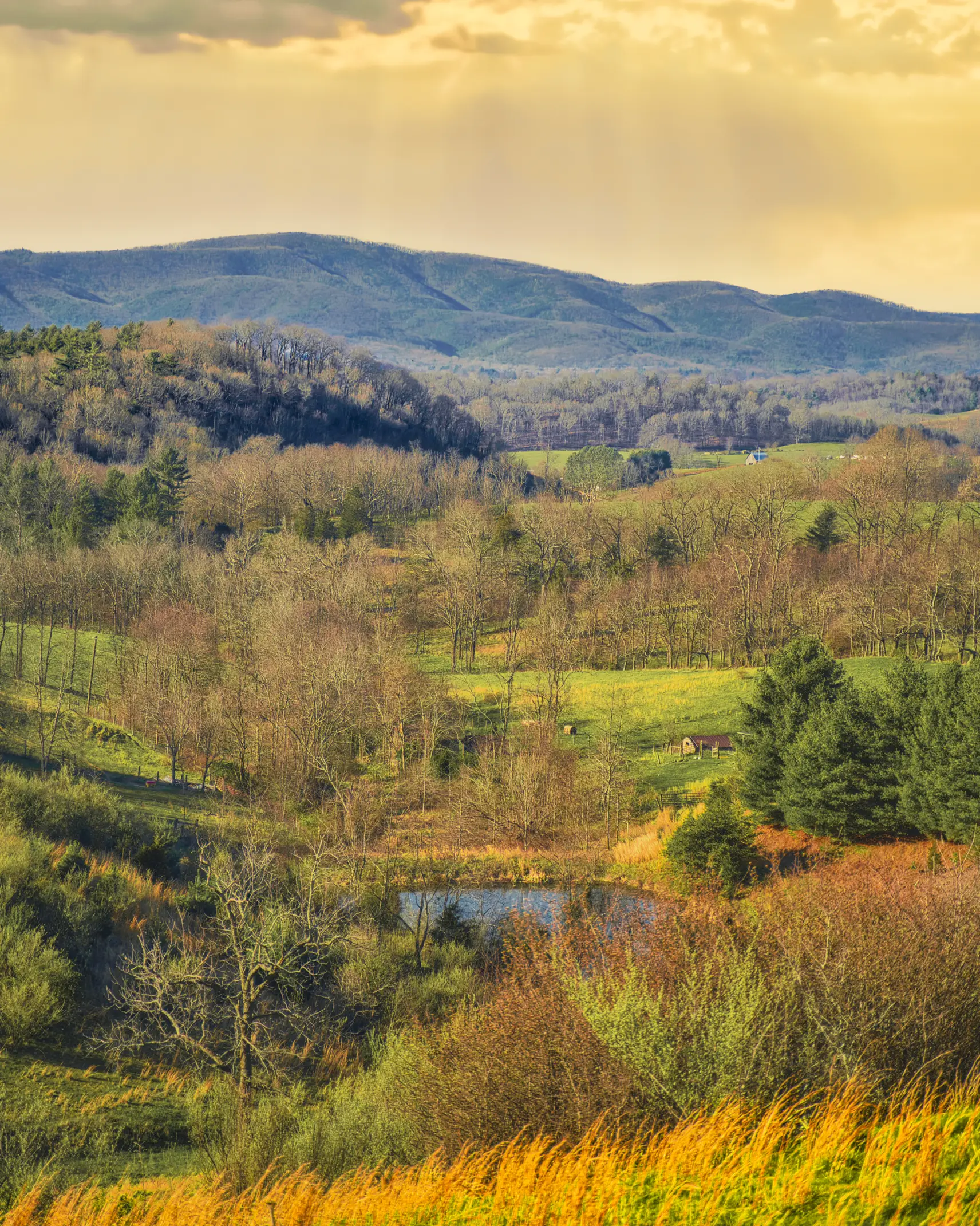 Virginia countryside 🥰 | Gallery posted by Joe_tatum | Lemon8