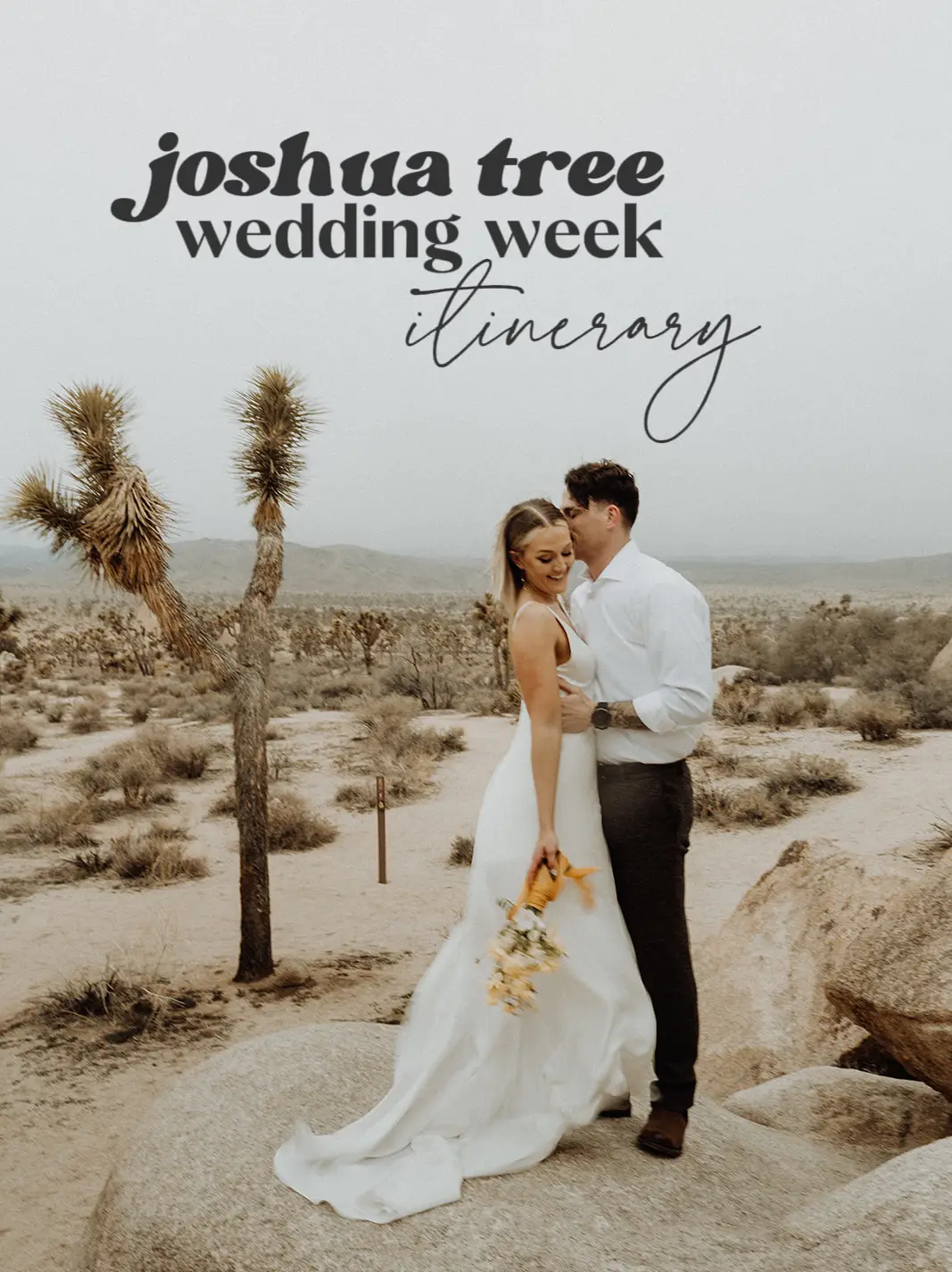 Our Joshua Tree Wedding Week Itinerary | แกลเลอรีที่โพสต์โดย Bougie ...