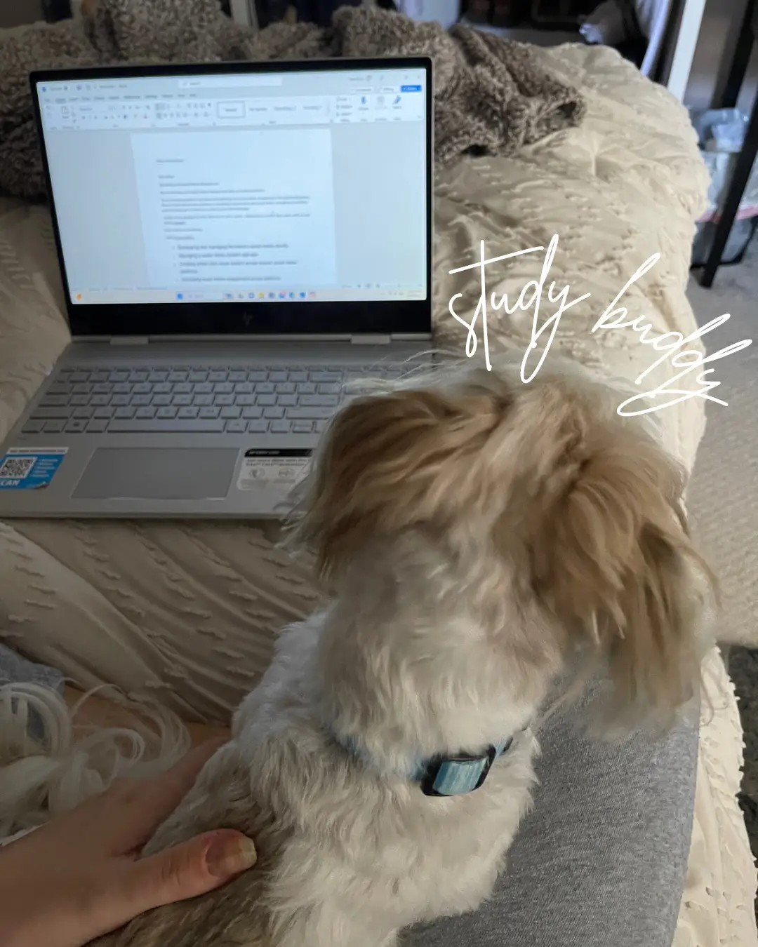 finals week was…. | Gallery posted by SIERRA | Lemon8