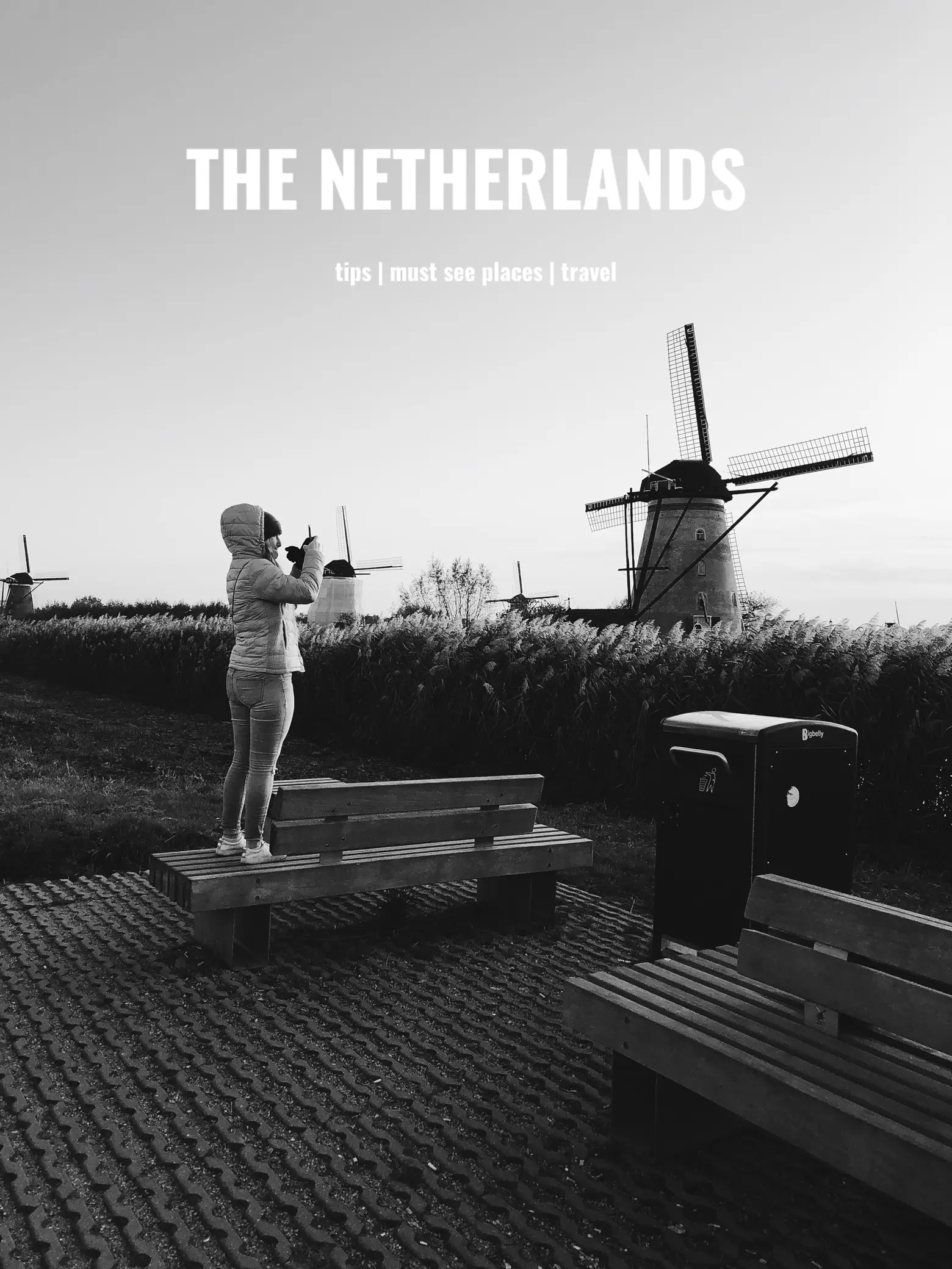 THE NETHERLANDS | แกลเลอรีที่โพสต์โดย courtney mather | Lemon8