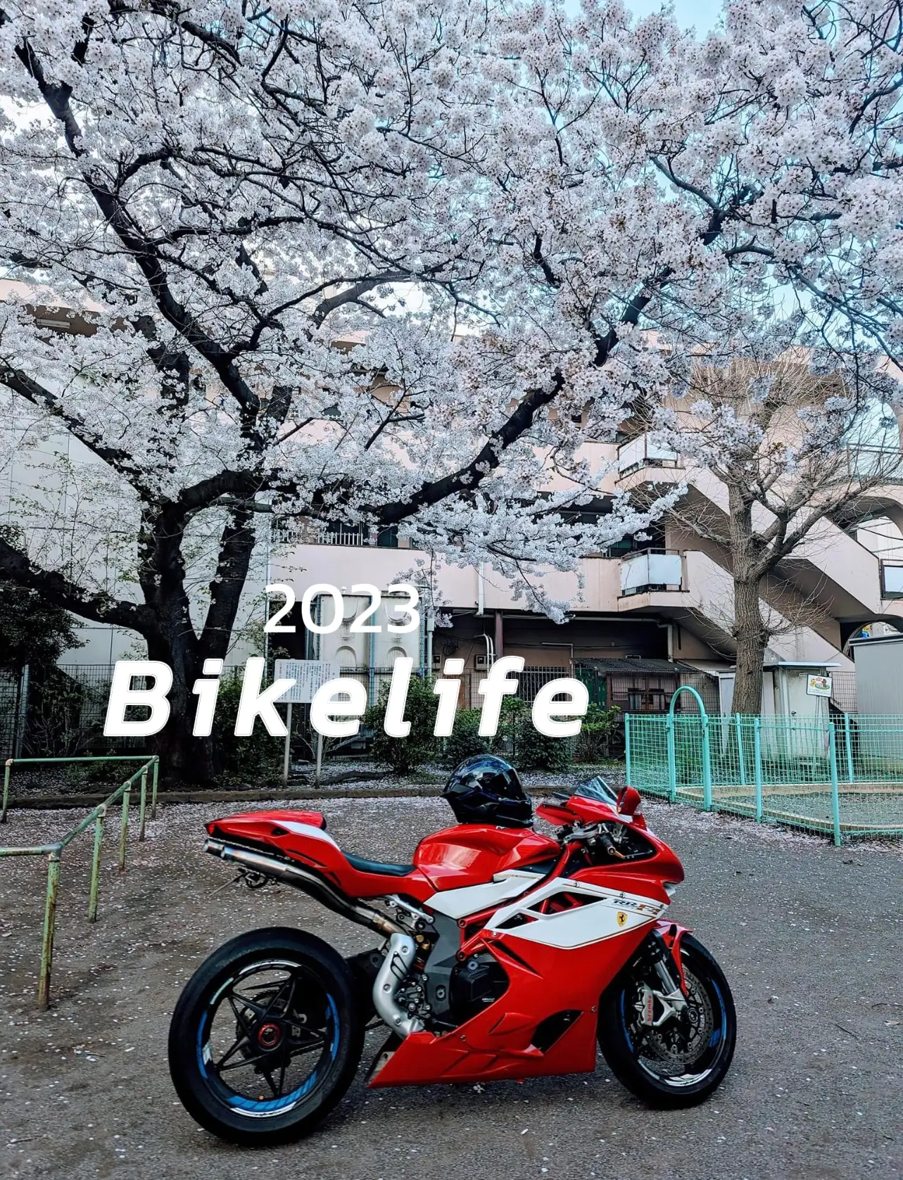 Bike life | Gallery posted by Octavian_488 | Lemon8