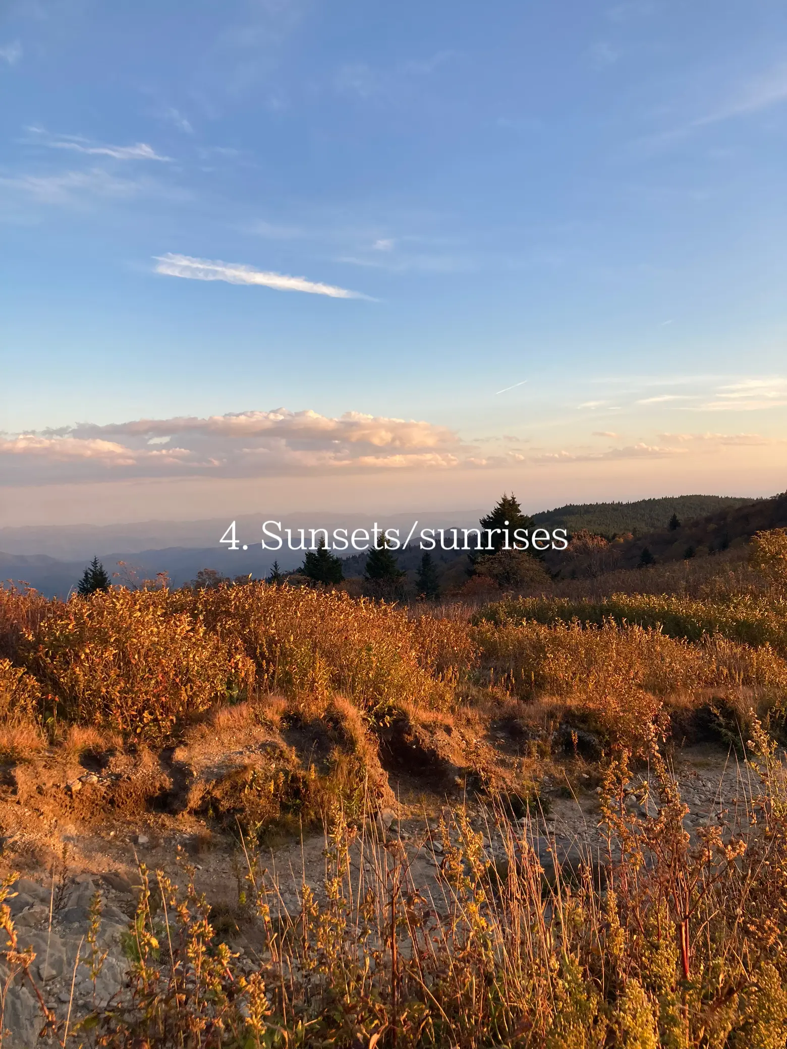 5 random & small things that make my heart happy 🫶🏼 | Gallery posted by ...