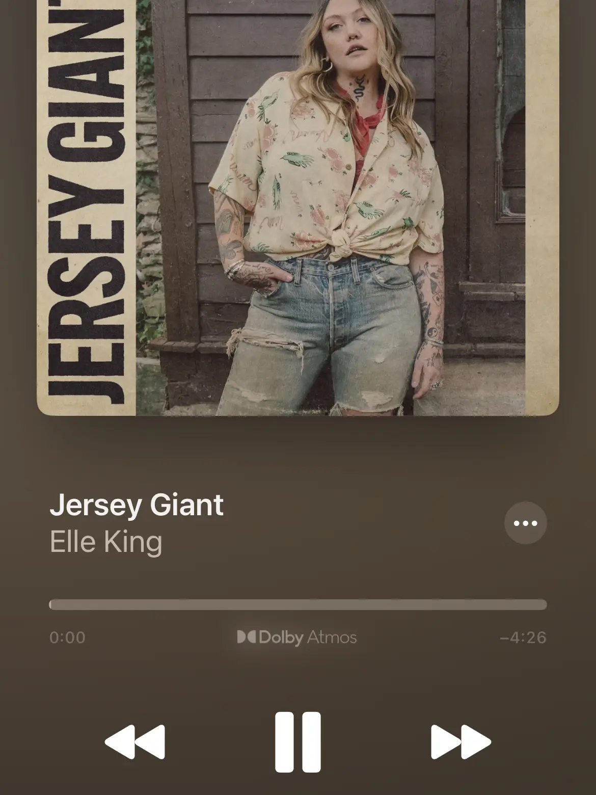 MY FAV SONGS ATM🎶 | Gallery posted by Lily Moseman | Lemon8