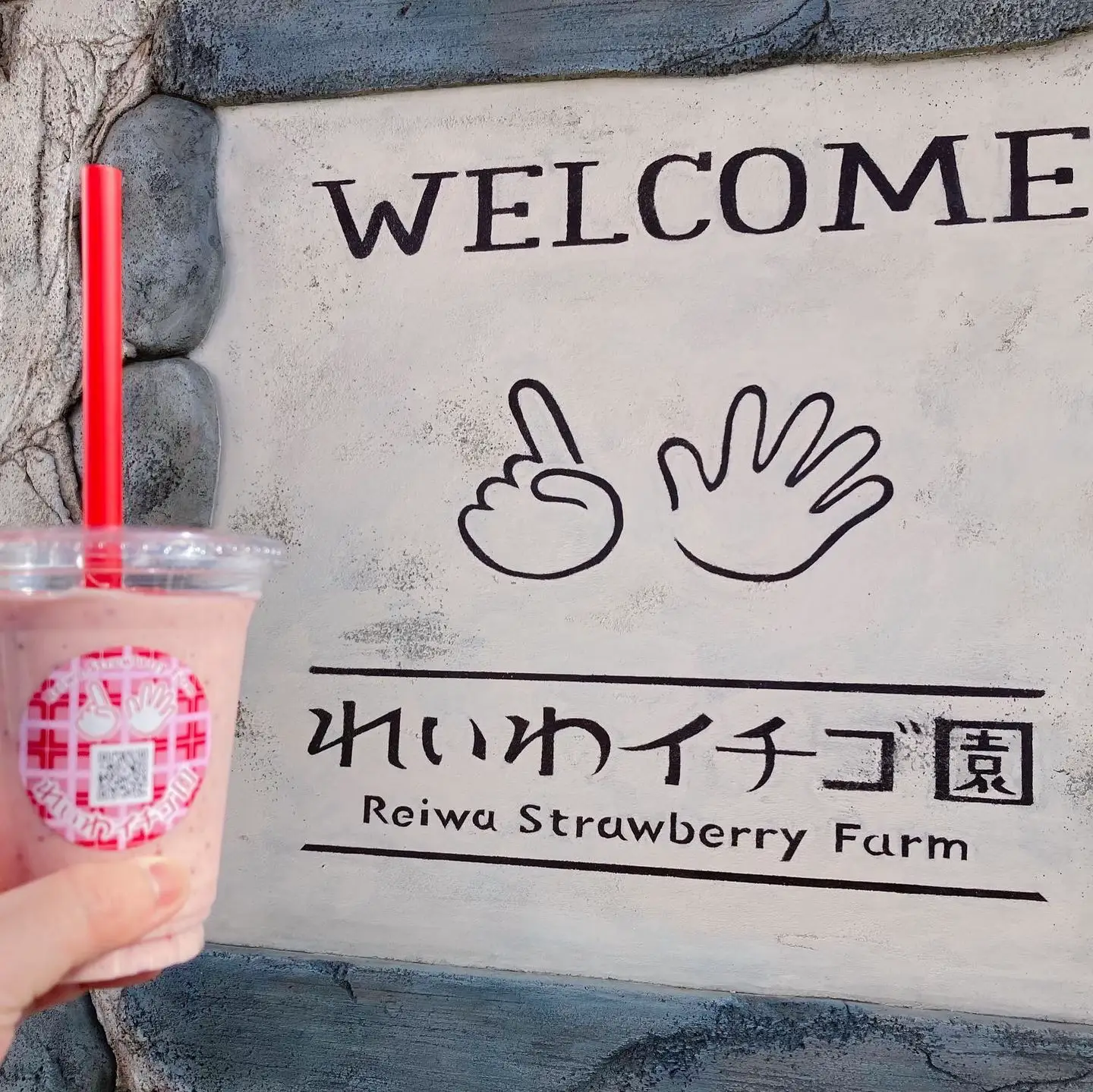 群馬前橋 いちご狩りFarm 【れいわイチゴ園】 | HIRO【群馬グルメ紹介🍽】が投稿したフォトブック | Lemon8