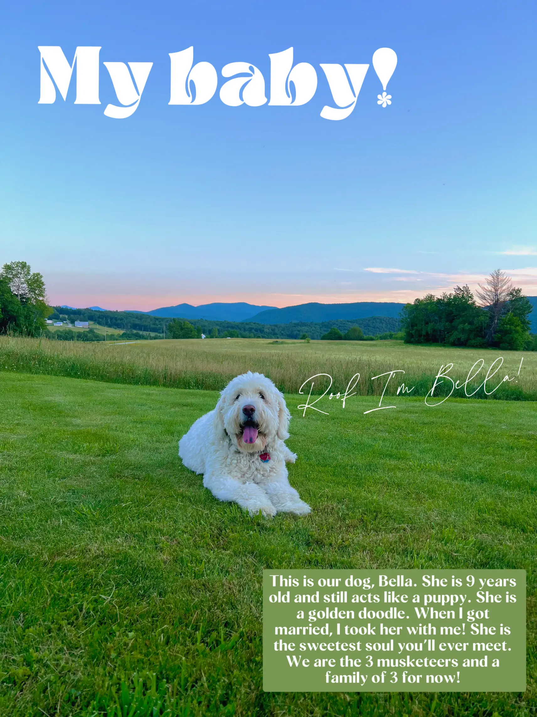 LETS GET TO KNOW EACH OTHER 🦋 ABOUT ME 💄 | Gallery posted by Mel | Lemon8