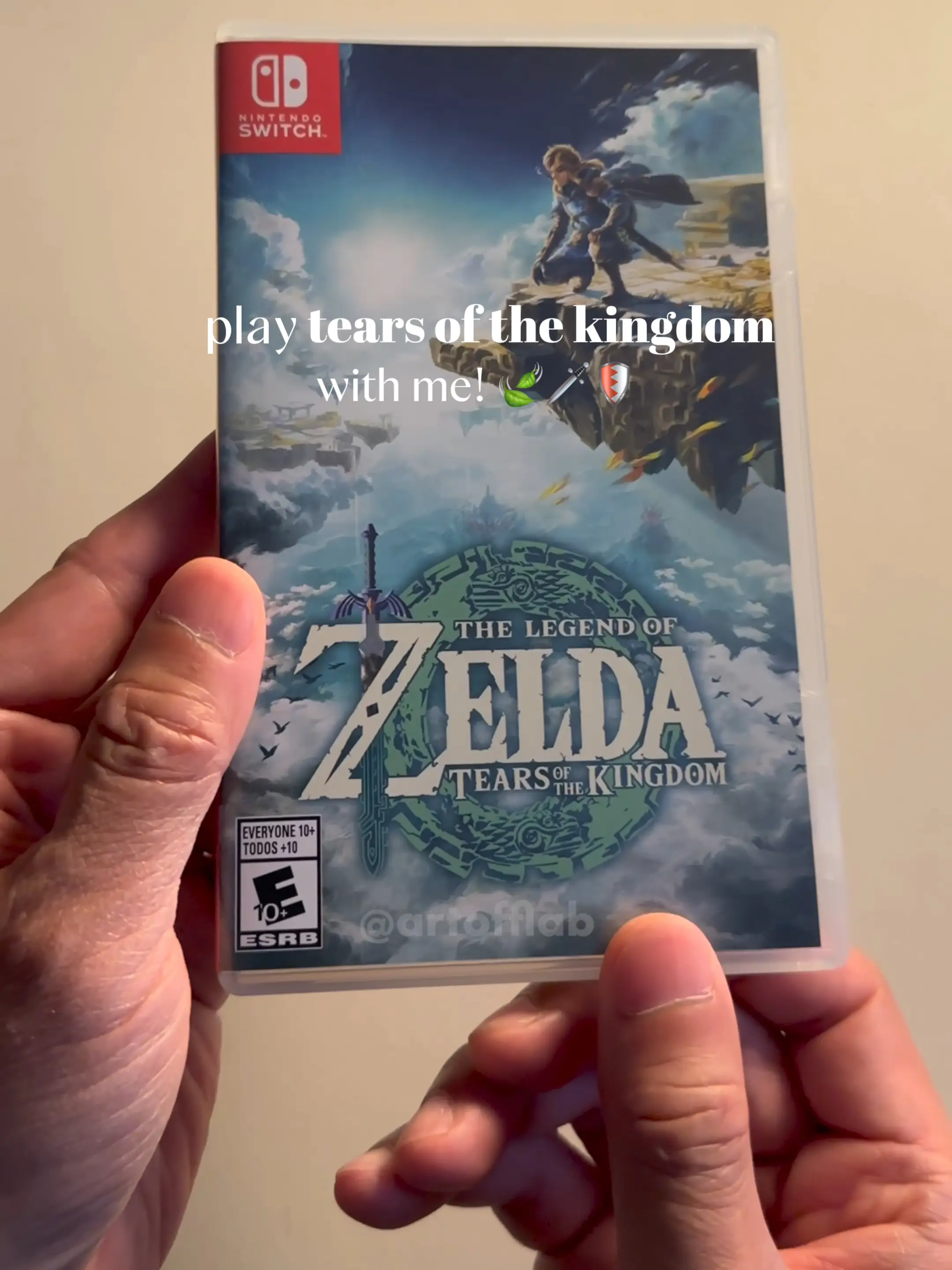 play tears of the kingdom with me 🍃🗡️🛡️ | วิดีโอที่เผยแพร่โดย ArtofFlab | Lemon8