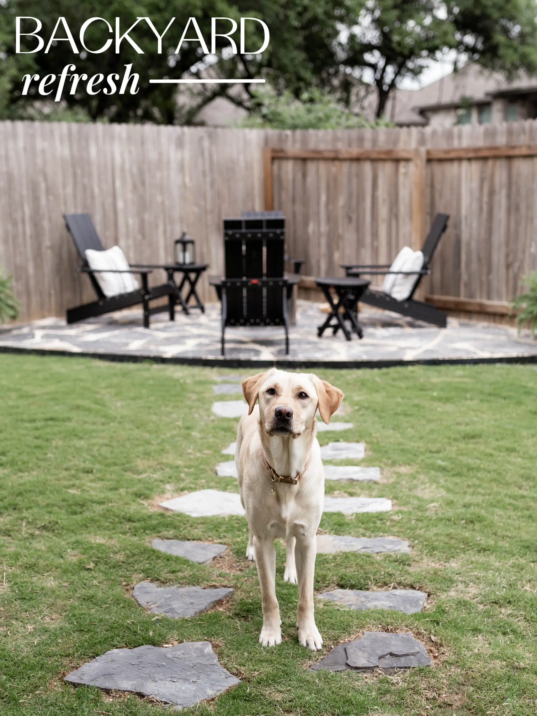 part 1 of our backyard transformation 🖤 | Video published by Kait & the pups | Lemon8