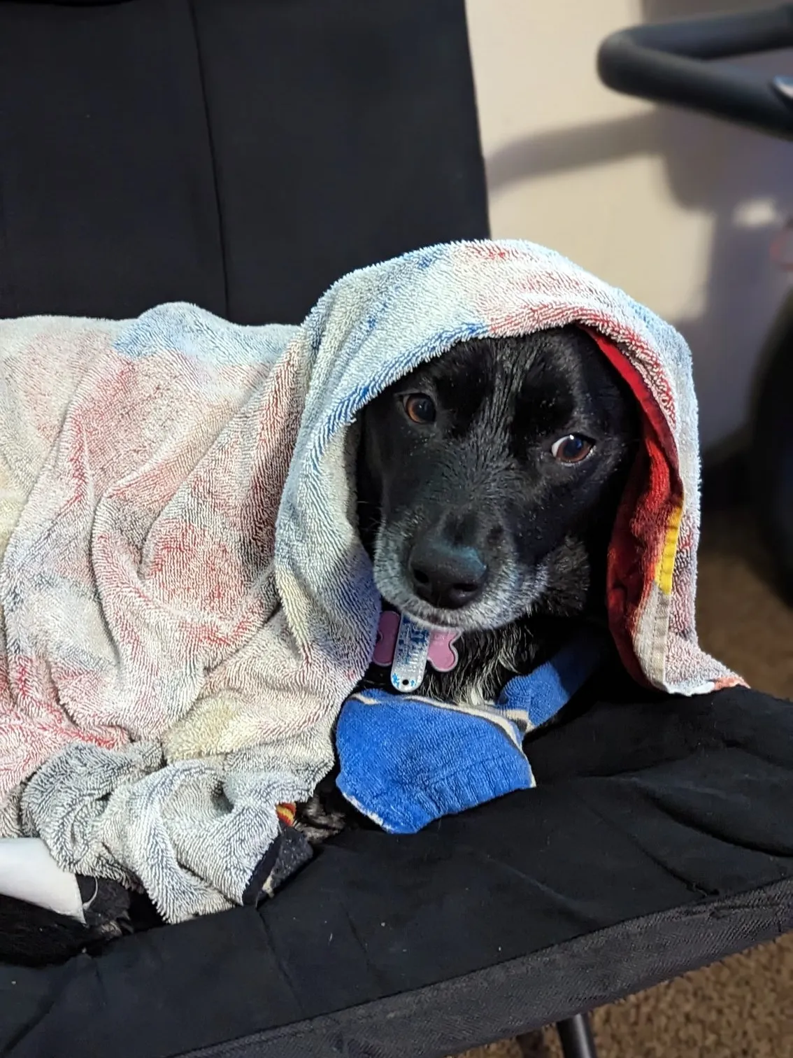 Blah | Gallery posted by THE ZAMP CAMP | Lemon8