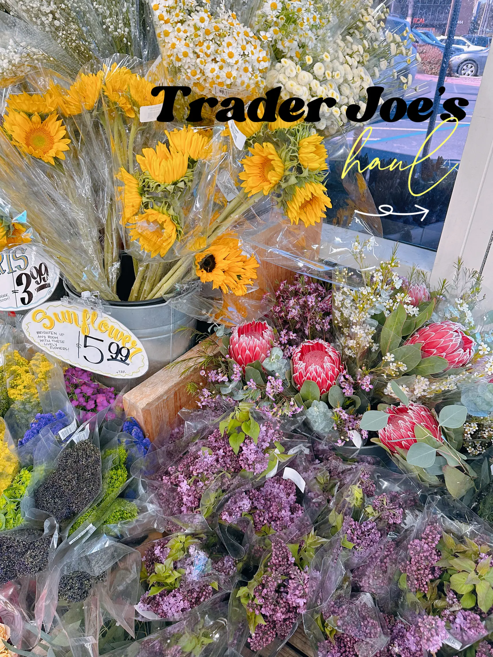 TJ’s HAUL 🫐🌻🧀 | Gallery posted by Jessica | Lemon8