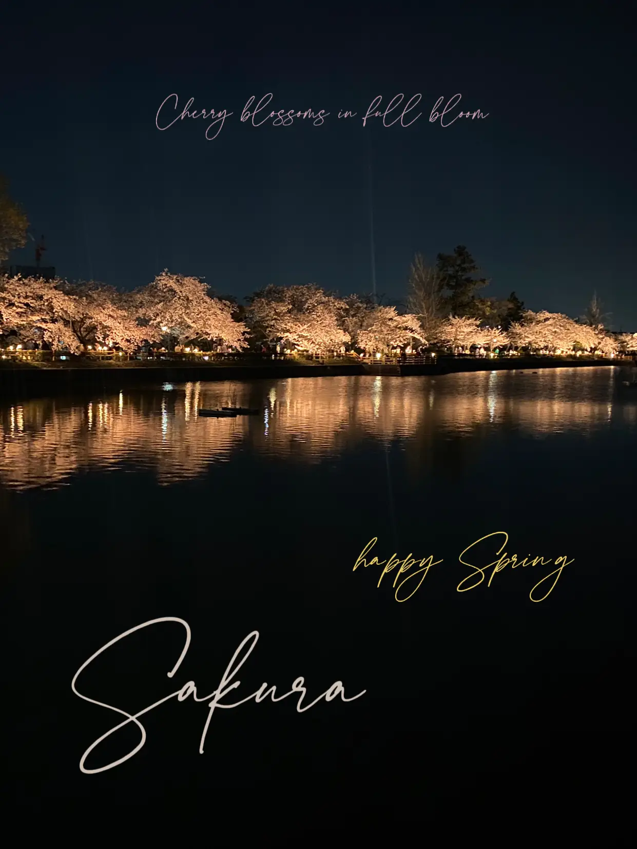 京都府内・お花見穴場スポット💡 | yuka_pが投稿したフォトブック | Lemon8