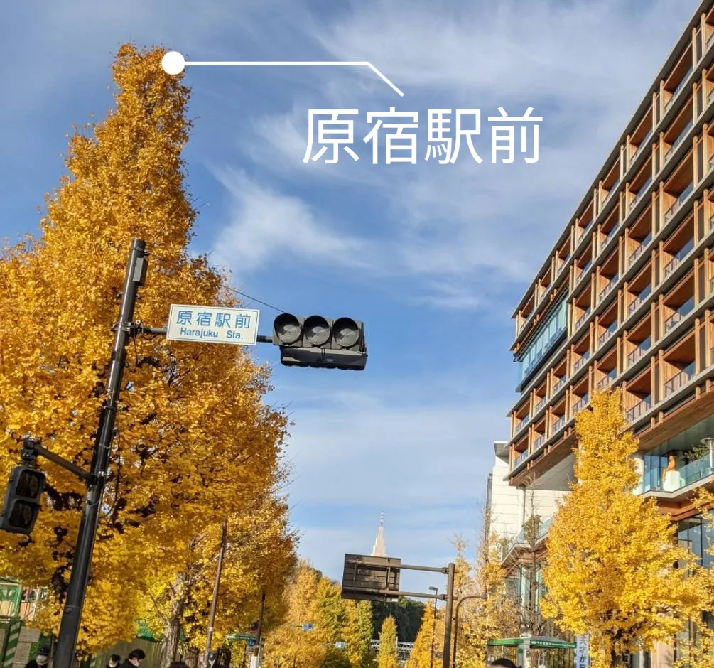 [Red Leaf 🍁] | Gallery posted by いなばえび | Lemon8