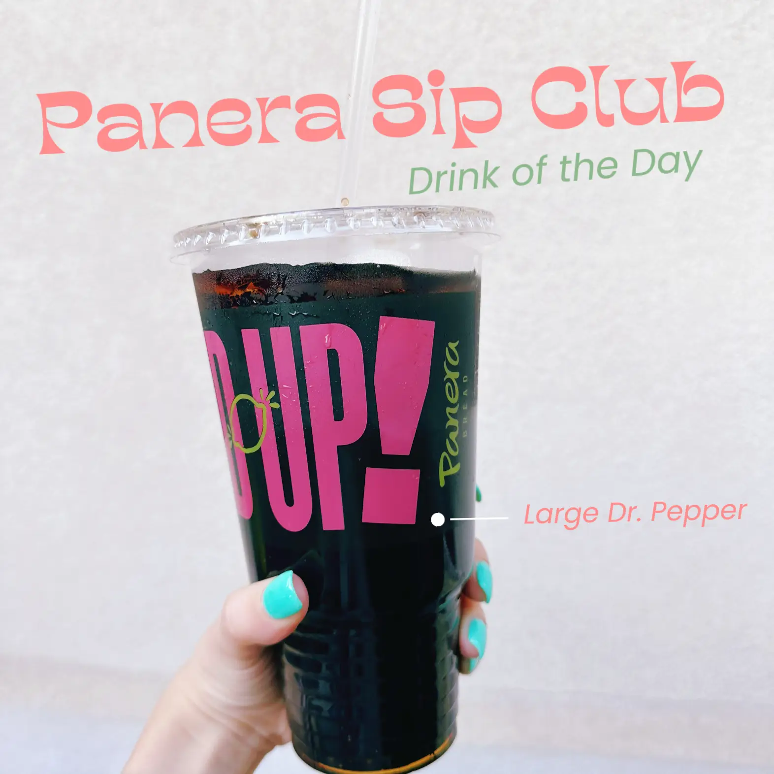 Panera Bread Sip Club 🥤 | Gallery posted by cara | Lemon8