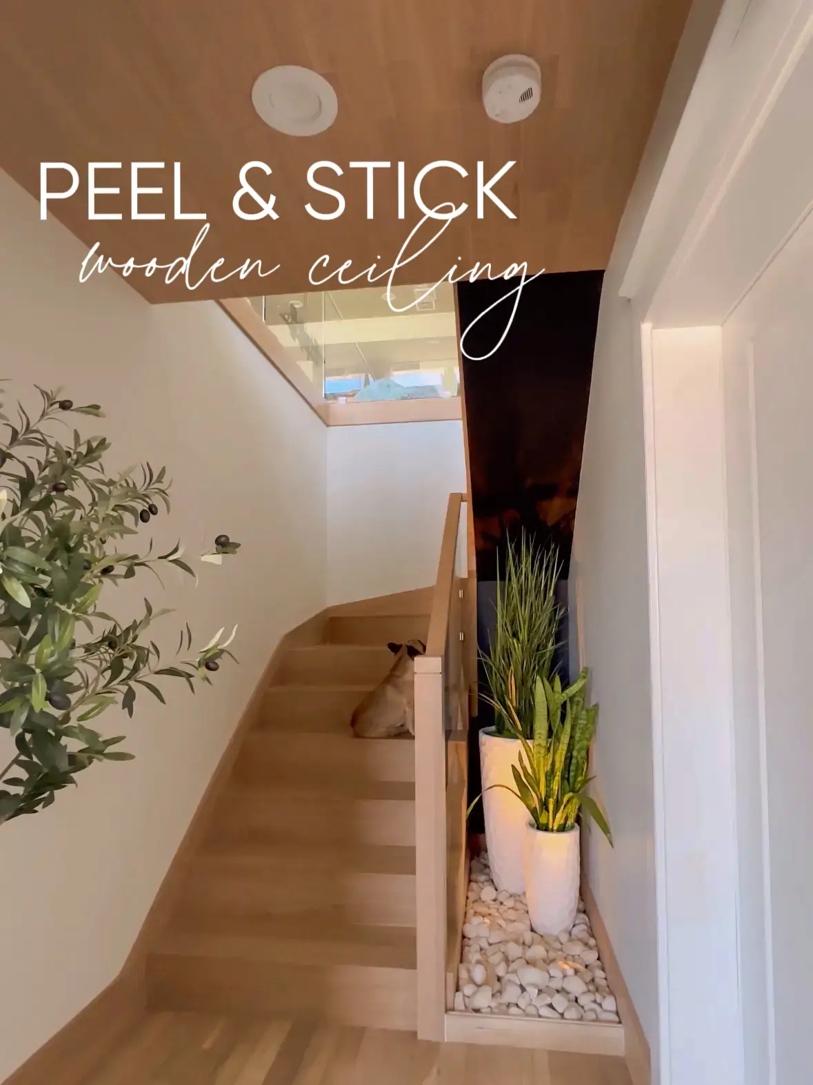 Rental Friendly DIY Ceiling | Video published by Julie Sousa | Lemon8