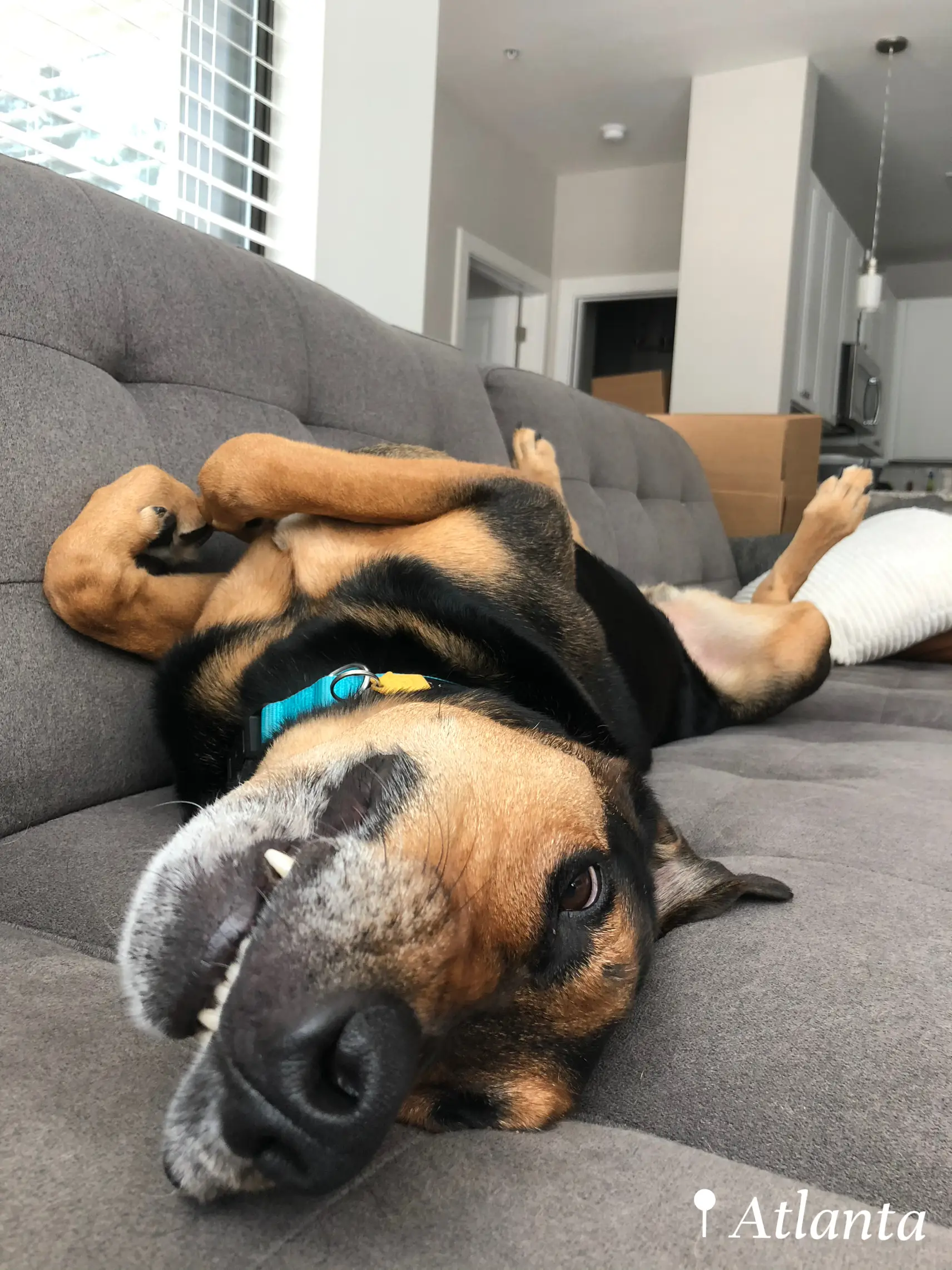 Get to know Brody! | Gallery posted by Mik • Bro • Lu | Lemon8