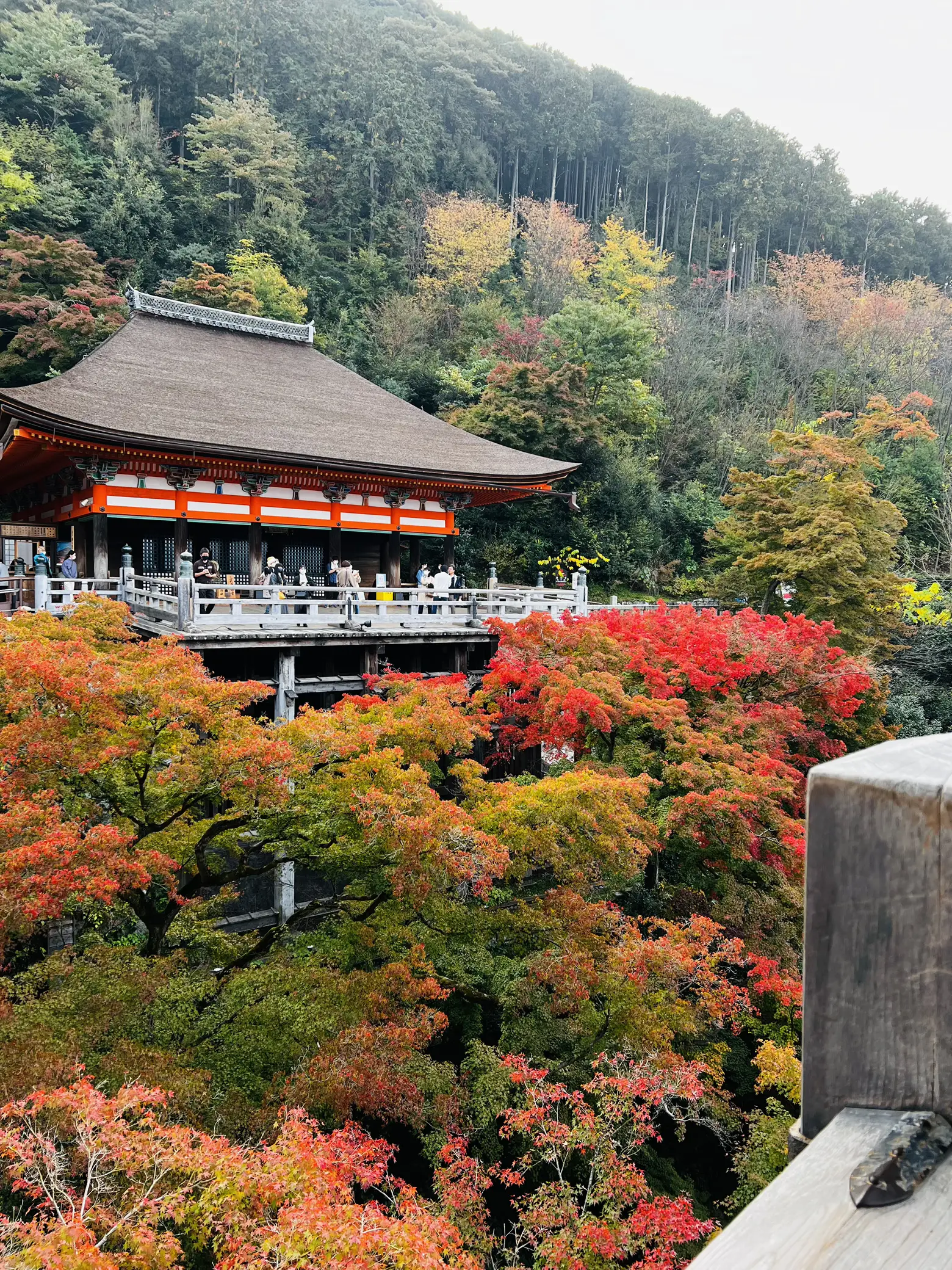 วัด Kiyomizu-dera ในฤดูใบไม้ร่วง🍁 | แกลเลอรีที่โพสต์โดย RICO | Lemon8