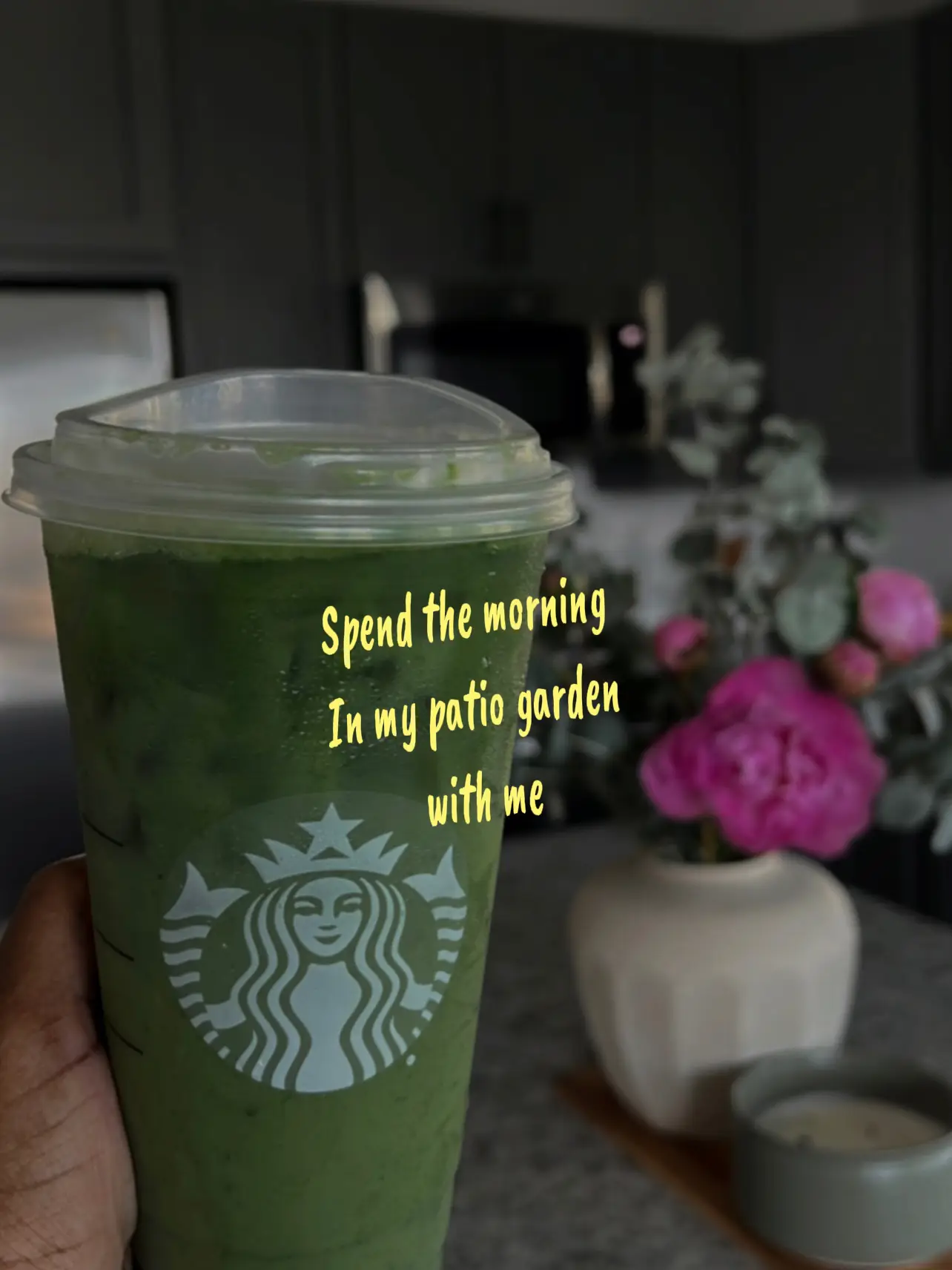 Spend the morning In my patio garden with me | Gallery posted by Botanist Bee | Lemon8