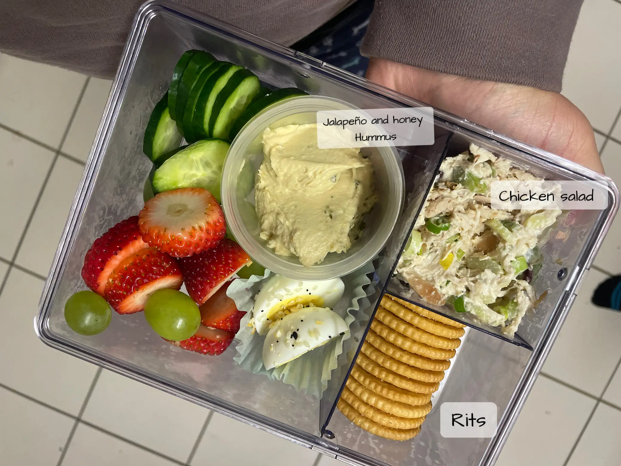 Zoo lunch idea! | Gallery posted by Shelsea Michael | Lemon8