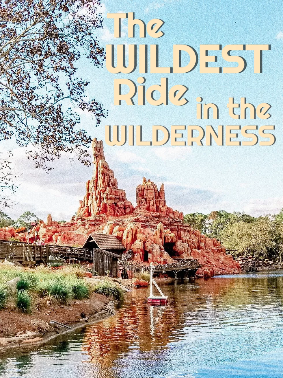 Favorite Disney Ride Quotes | แกลเลอรีที่โพสต์โดย carouselofchaos | Lemon8