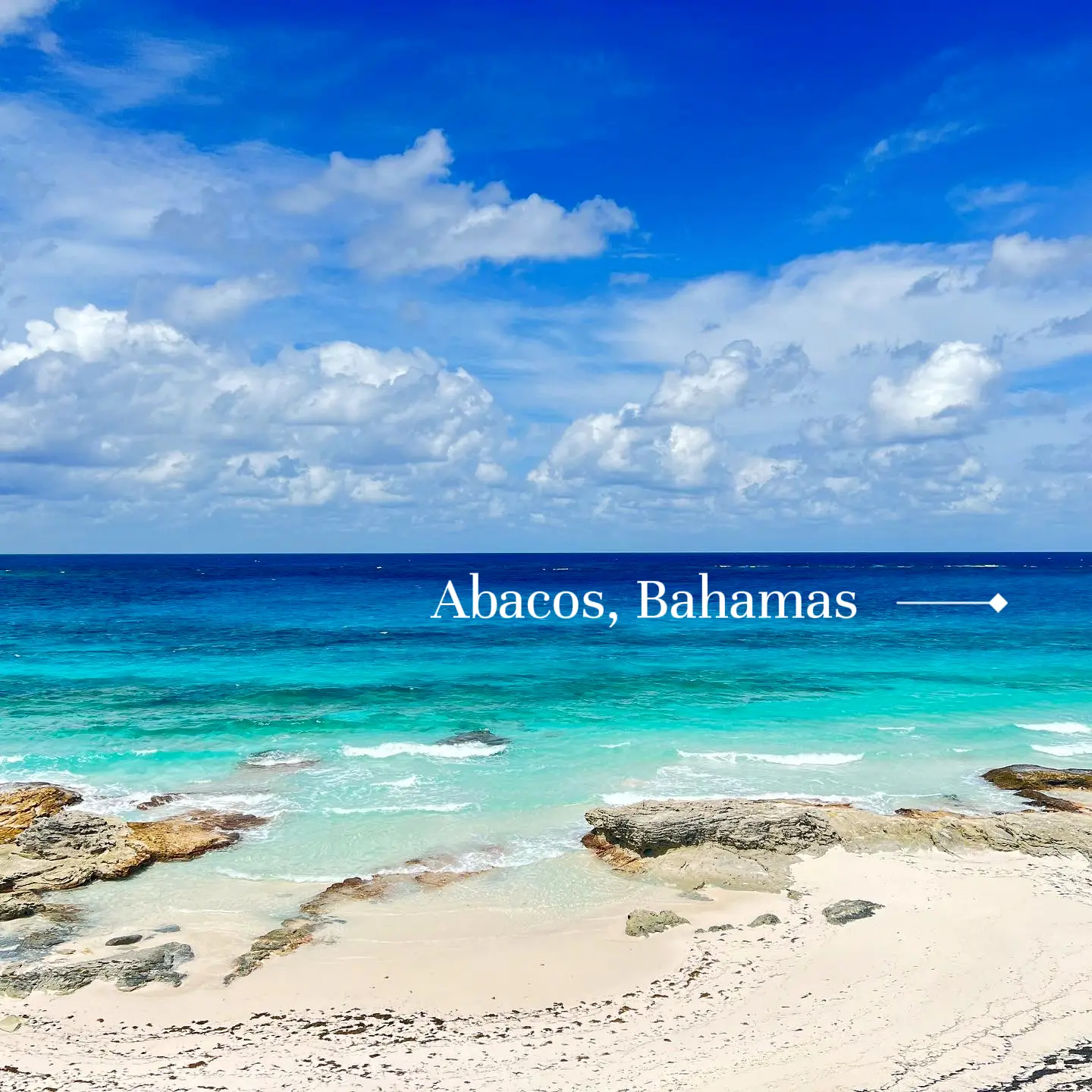 first of many ☀️ | Gallery posted by Laura Farrow | Lemon8