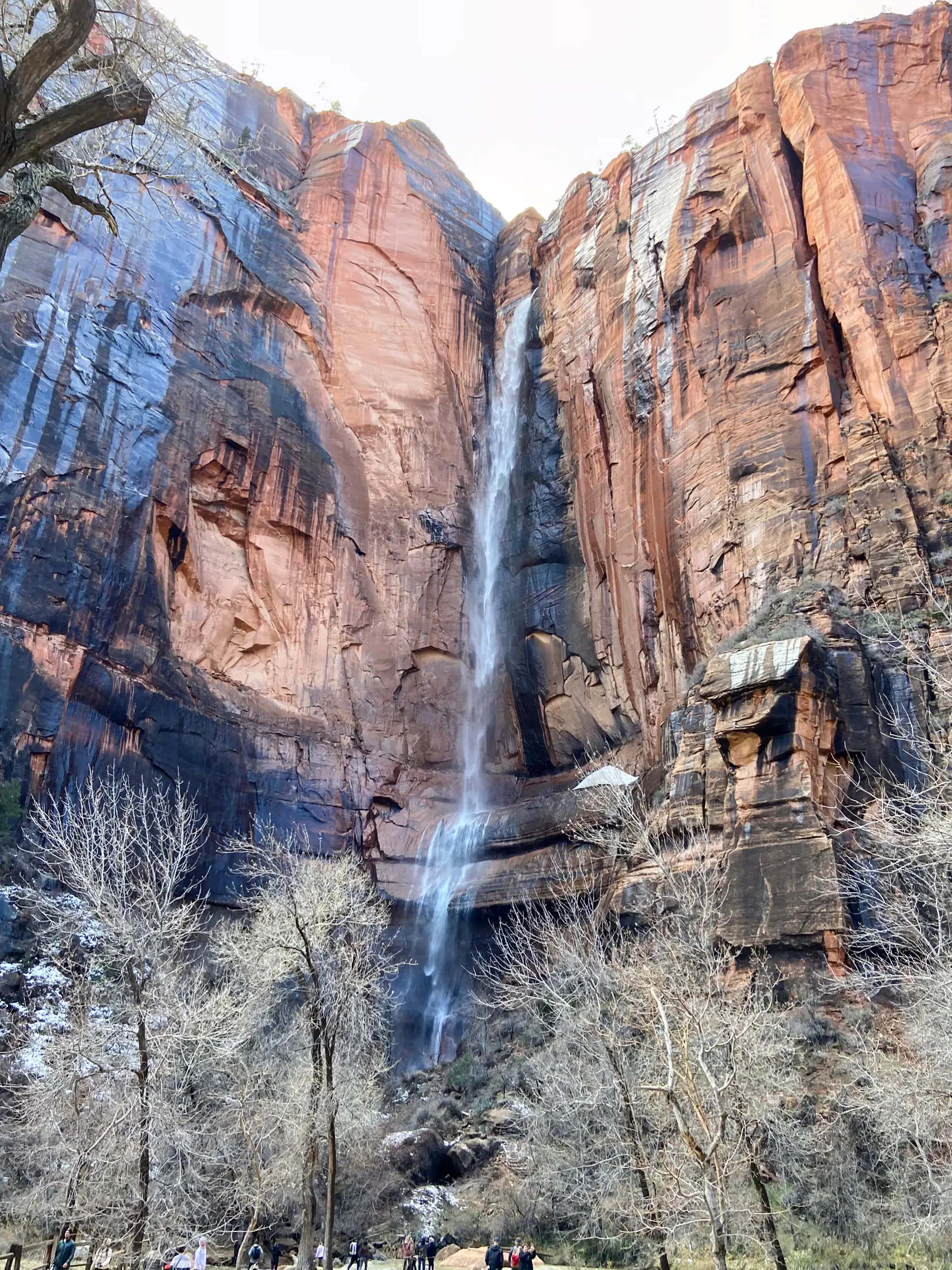 1 Day in Zion NP | Gallery posted by Jen | Lemon8