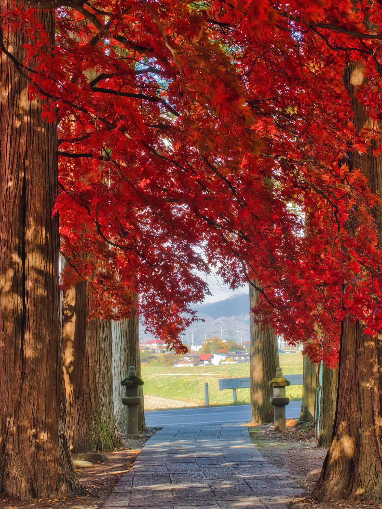 Nagano 】 Autumn leaves spot I want to go this fall | Gallery posted by AyuMi | Lemon8