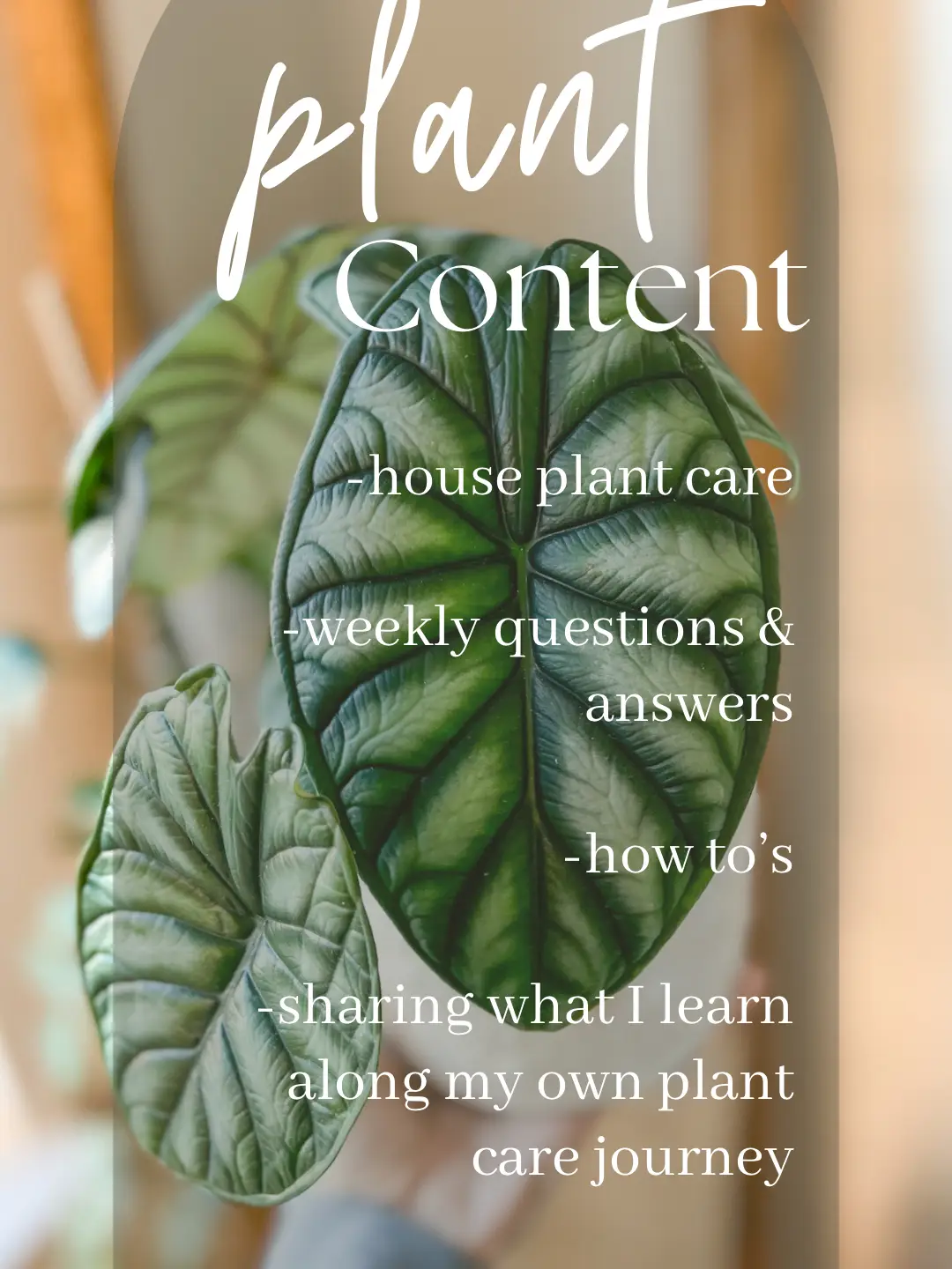 Hi! Here’s a little about me | Gallery posted by Liana Terry | Lemon8