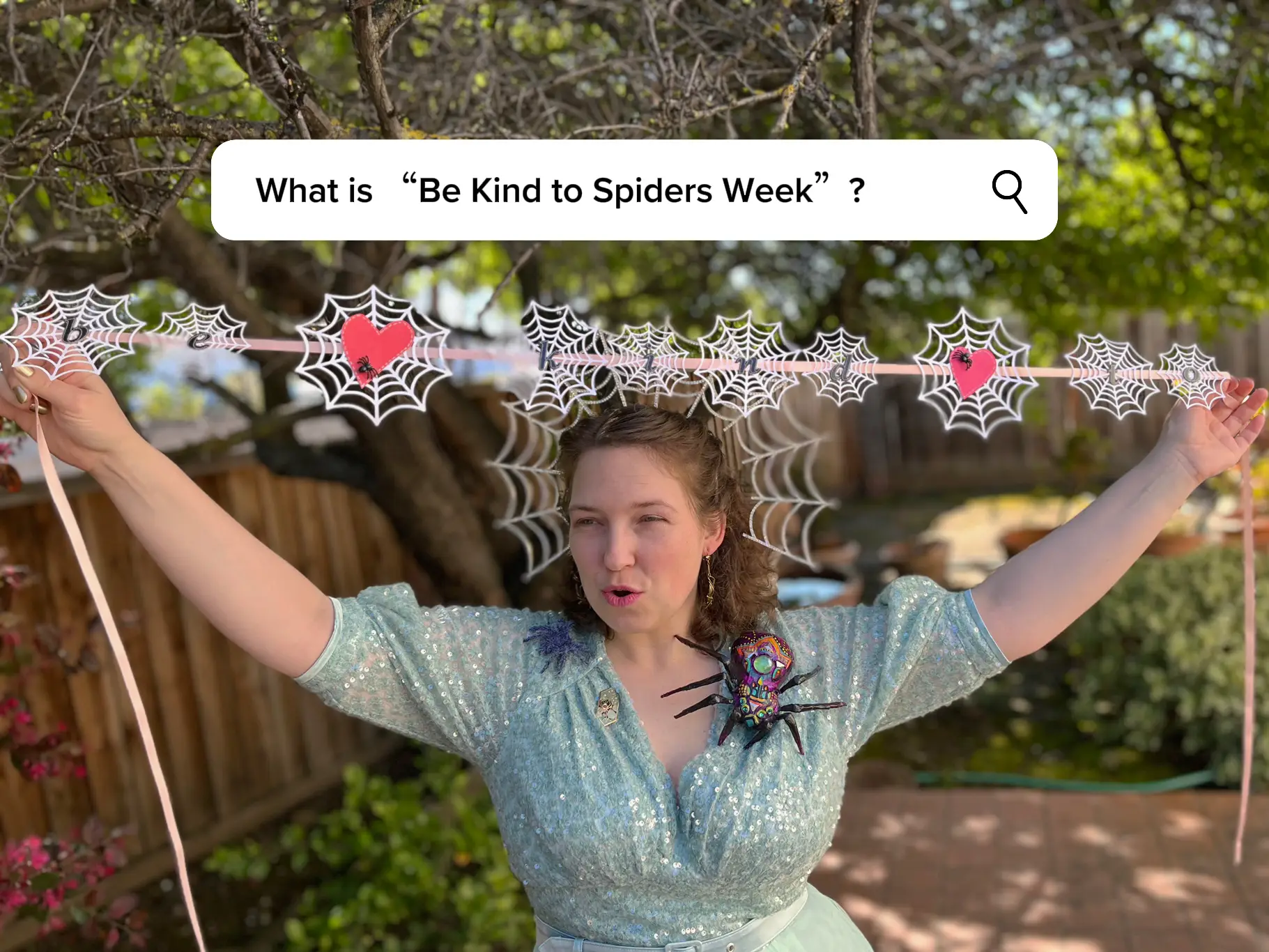Be Kind to Spiders Week is HERE | Video published by 🥂 with Chelsea | Lemon8