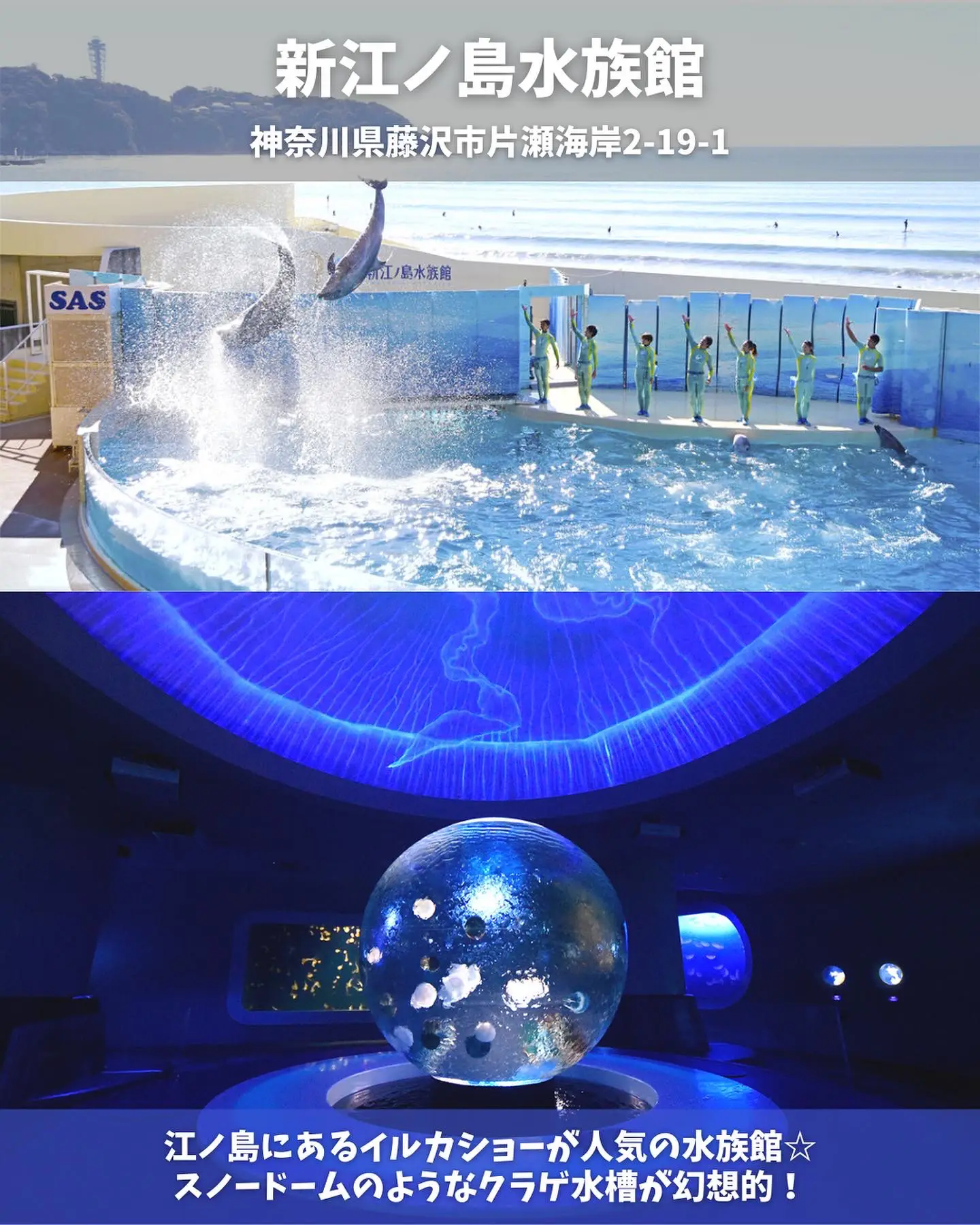 【カップルおすすめ🫶🏻】全国のおすすめ水族館🐳🫧 | TABILMO /旅行情報 ️が投稿したフォトブック | Lemon8