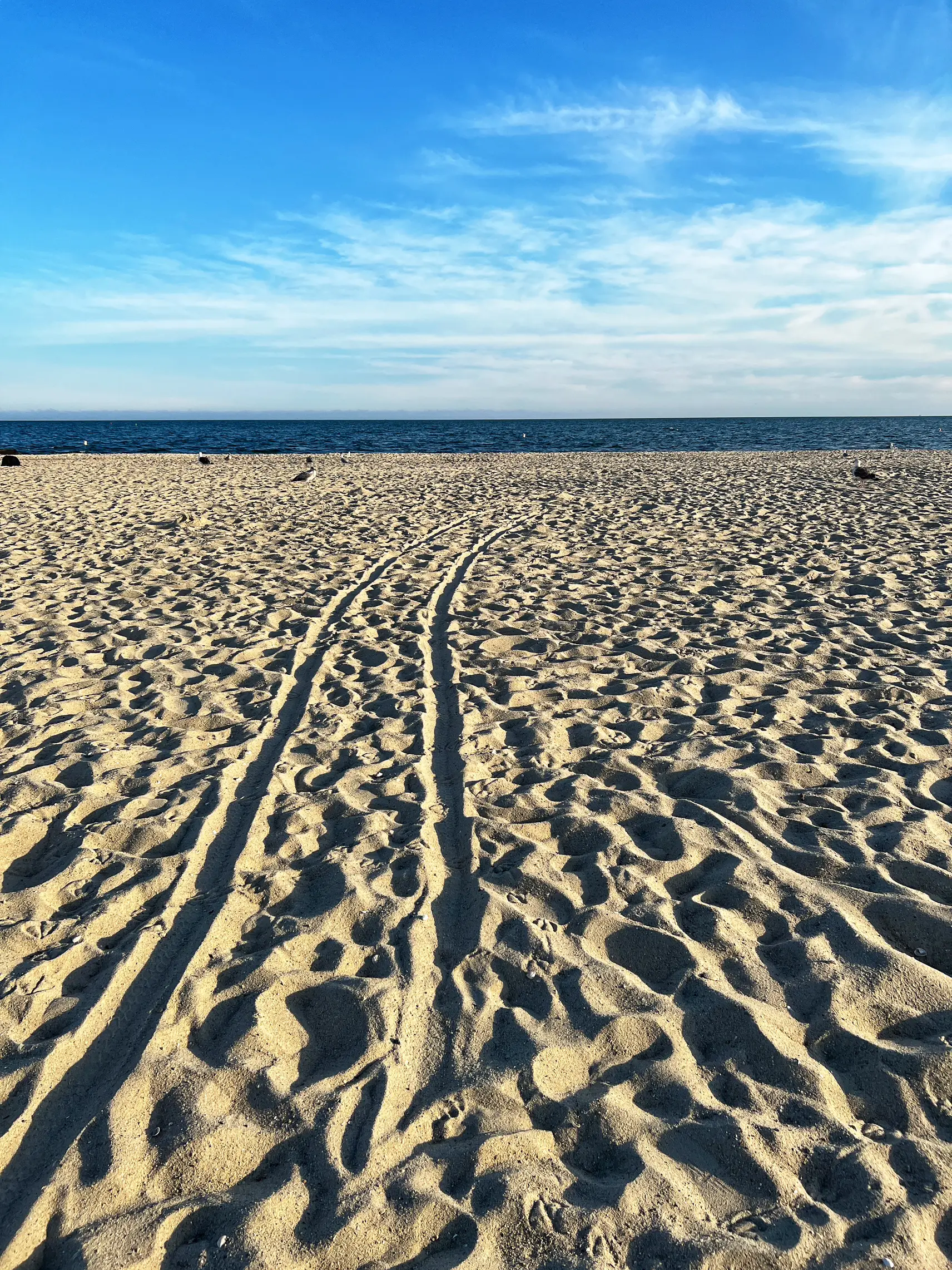 Cape Cod Summer Vacation | Gallery posted by JodiGrundig 🛳️ | Lemon8