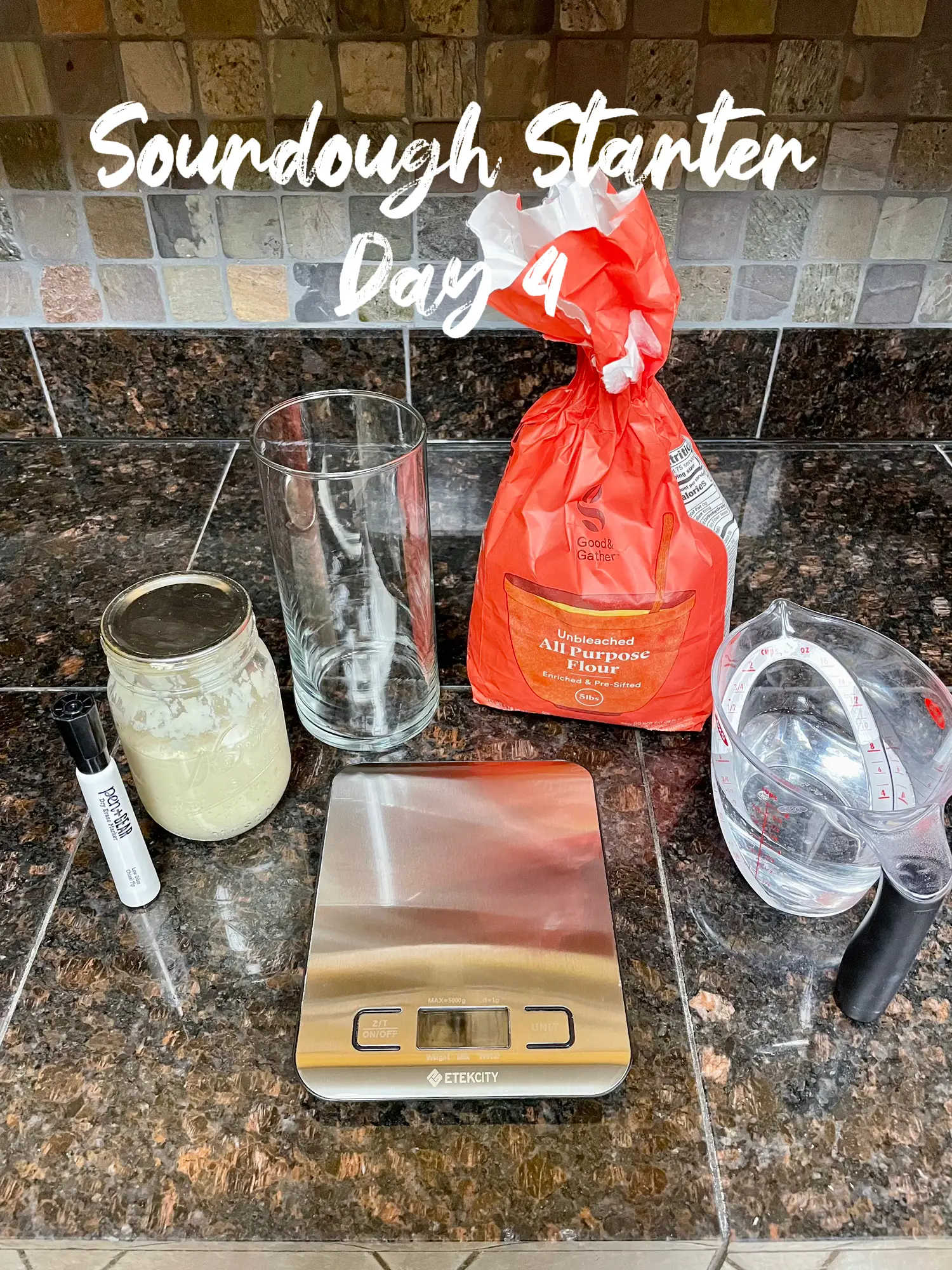 Sourdough Starter Day 4 | แกลเลอรีที่โพสต์โดย Emily Fleet | Lemon8