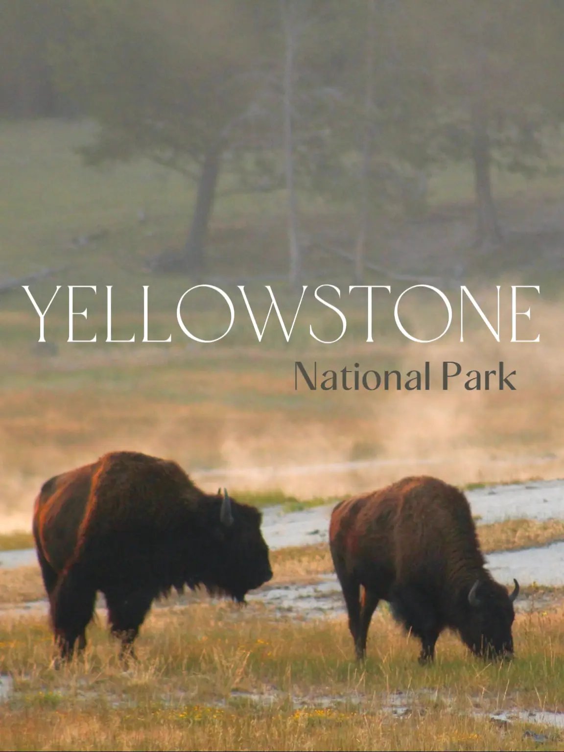Truly Dreamy spots in Yellowstone NP!!🥹 | Gallery posted by J & Taay 🔆 ...