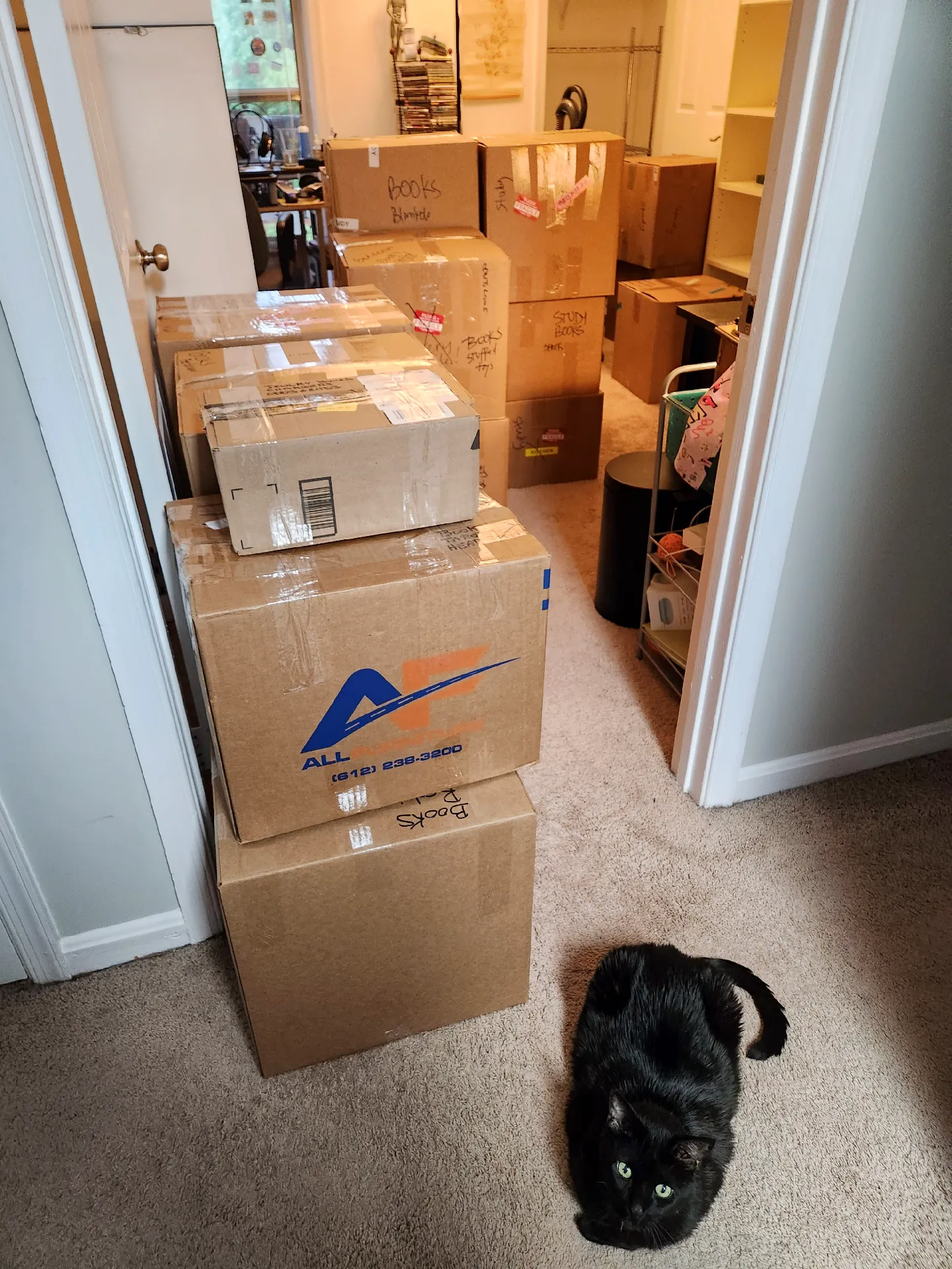 So Many Boxes! | Gallery posted by Gwynnifar | Lemon8