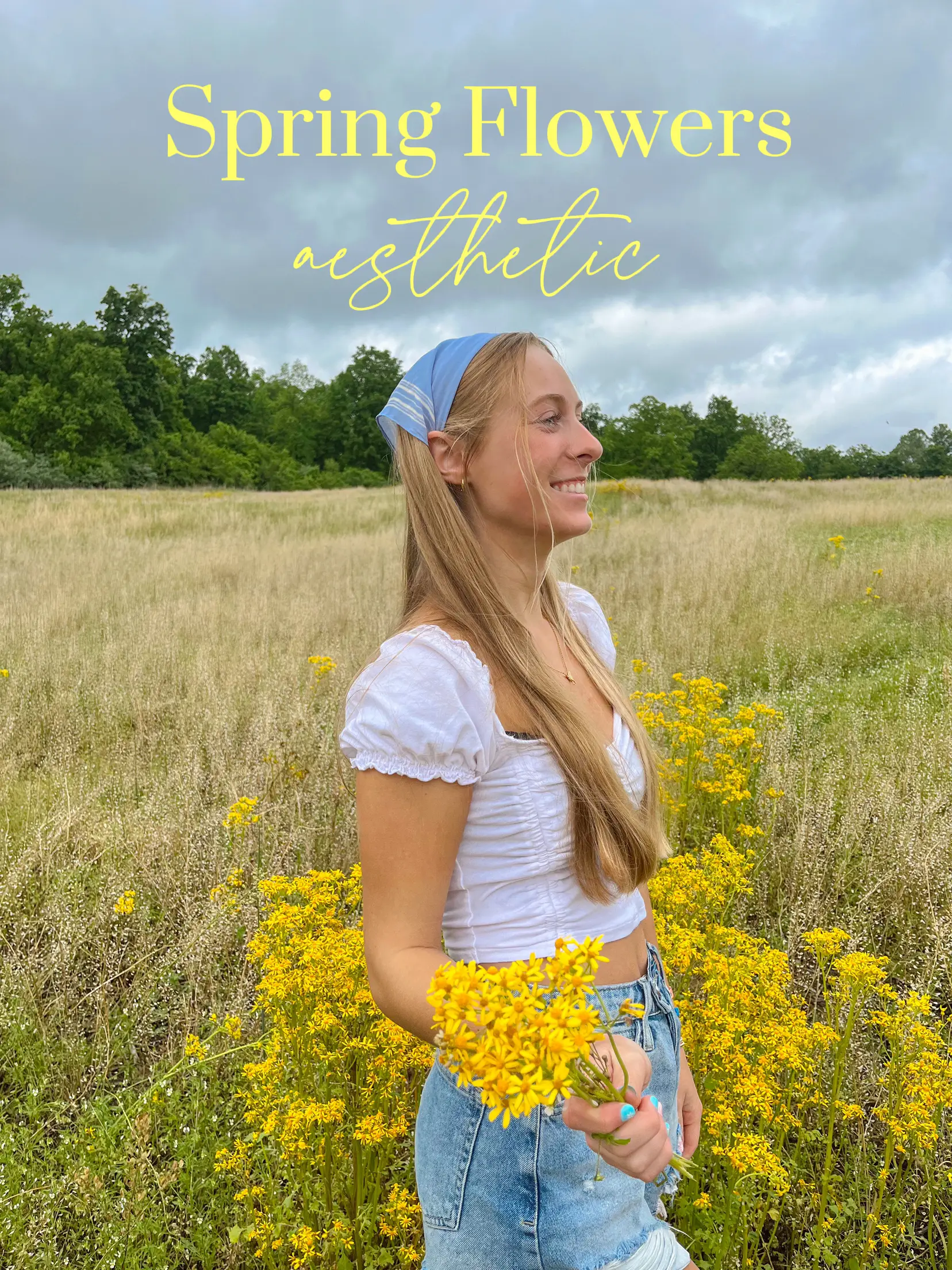 Bright flowers for a gloomy day 🌧️🌼💛🌱 | Gallery posted by Pey | Lemon8