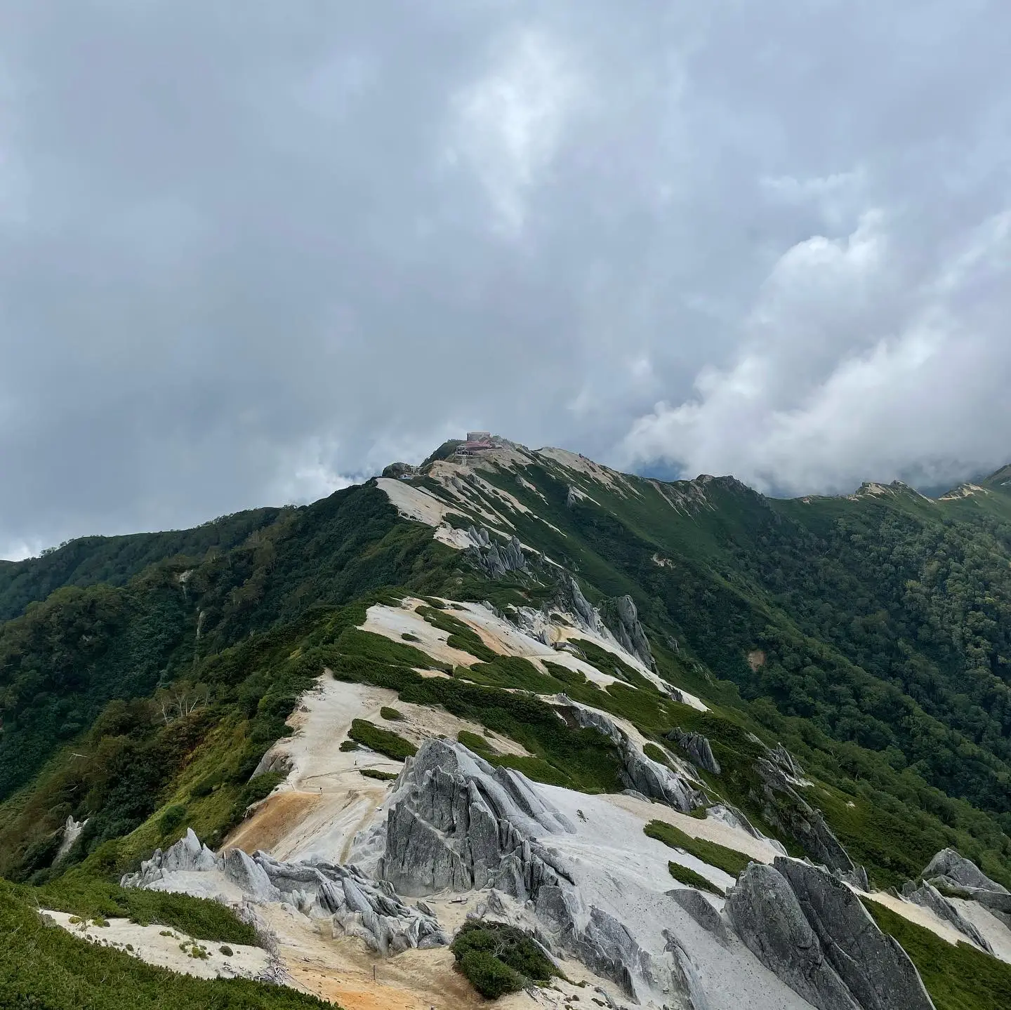 [Yan Yue] Thunderbird Encounter! | Gallery posted by 岳太郎 | Lemon8